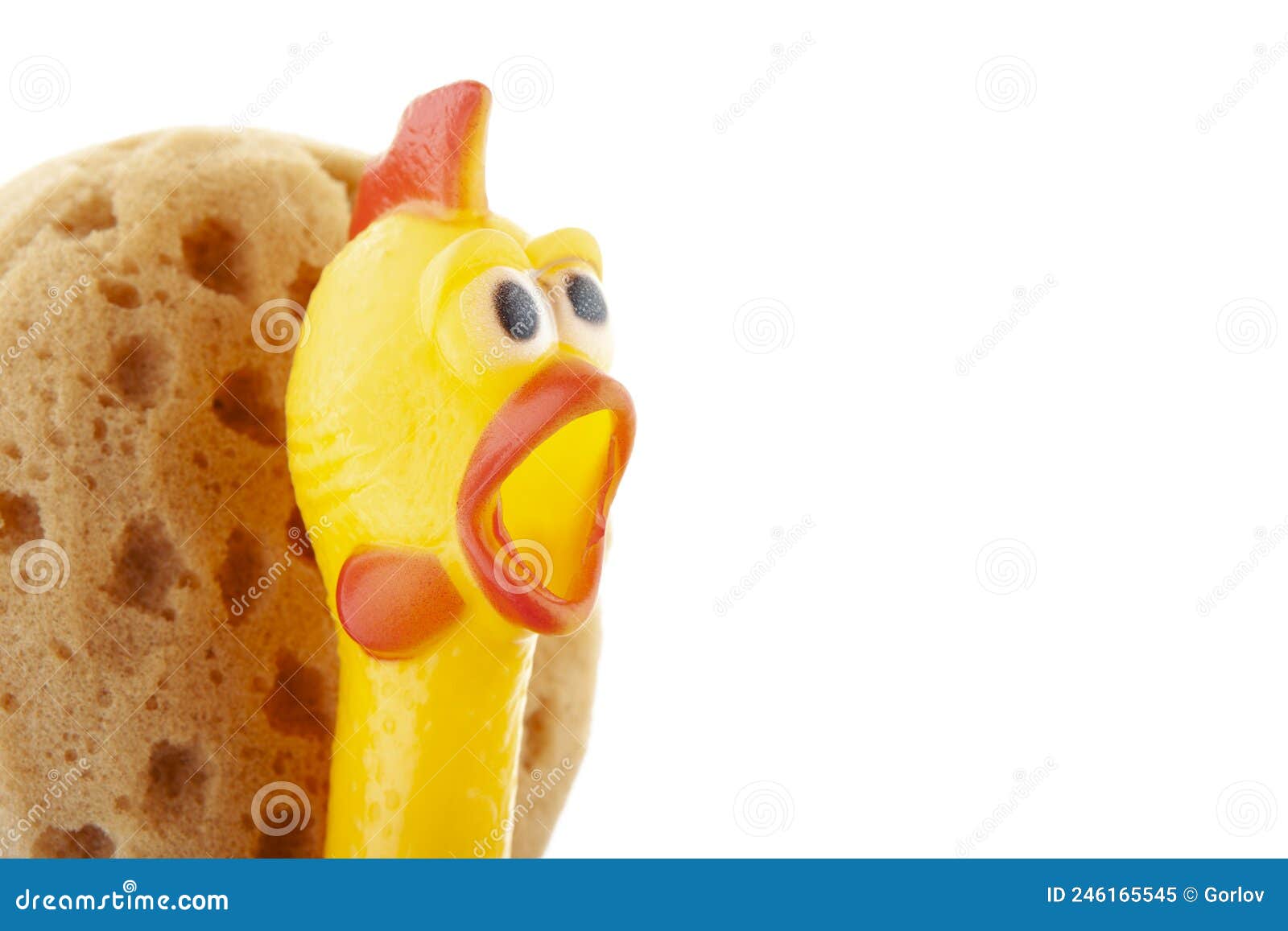 Image of Rubber Chicken Sponge White Background Stock Image - Image of ...