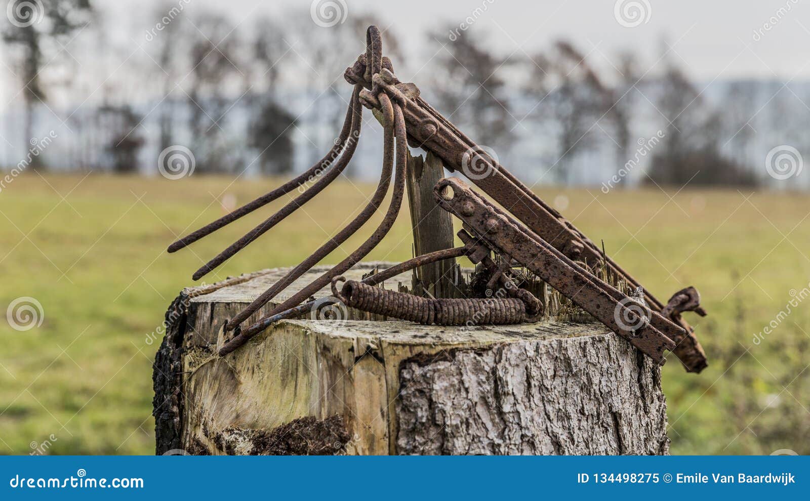 Image of a Rusty Metal Structure with Abstract Shape on a Tree Stump ...