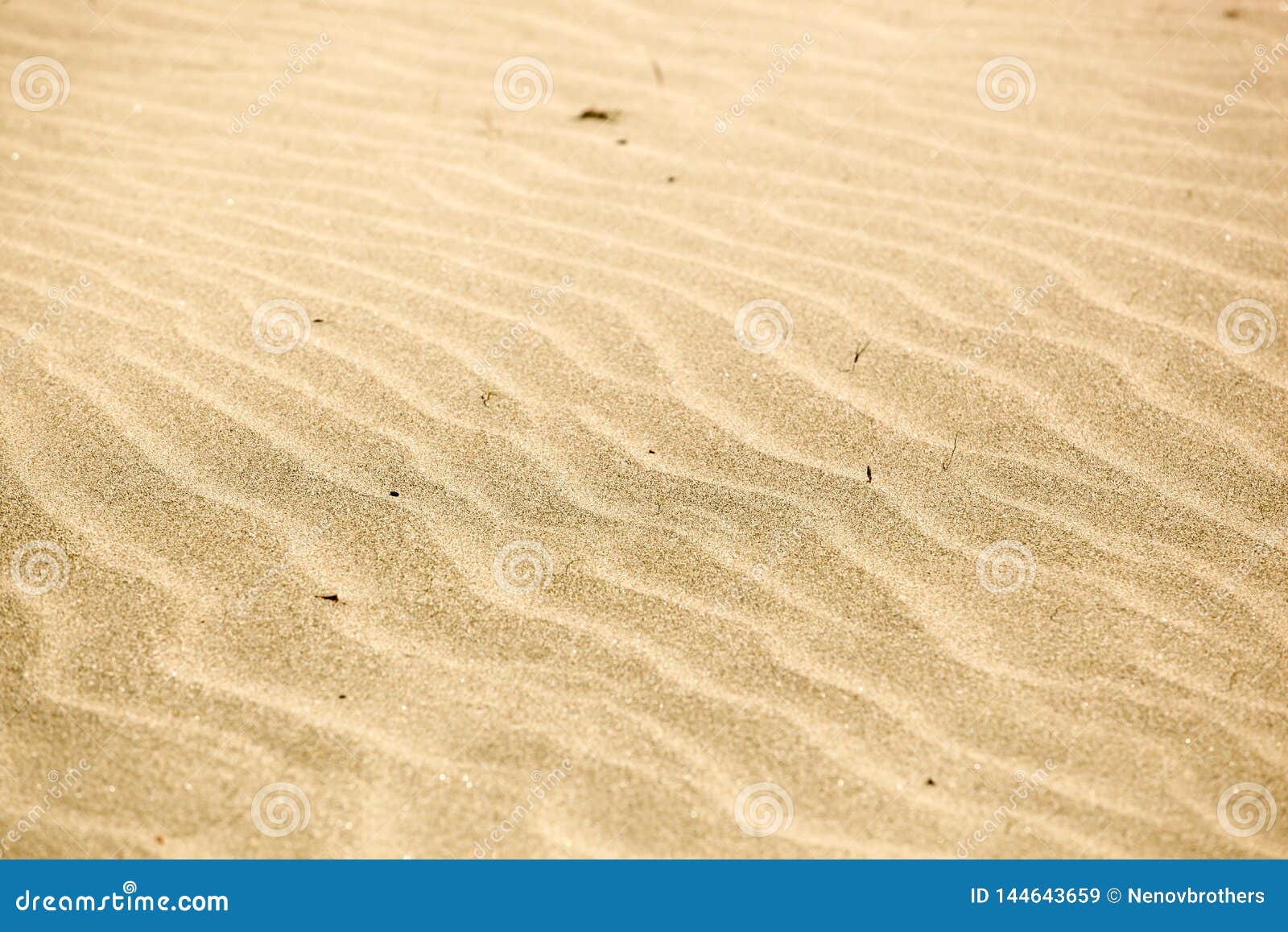 Image of Sand Background stock image. Image of coast - 144643659