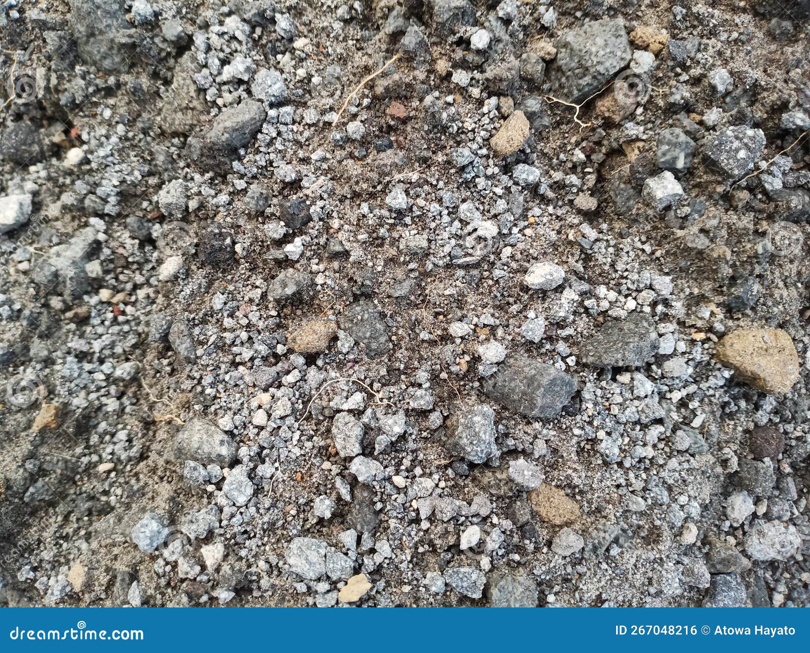 Image of Sand in the Garden Perfect for Background or Tekstur Stock ...