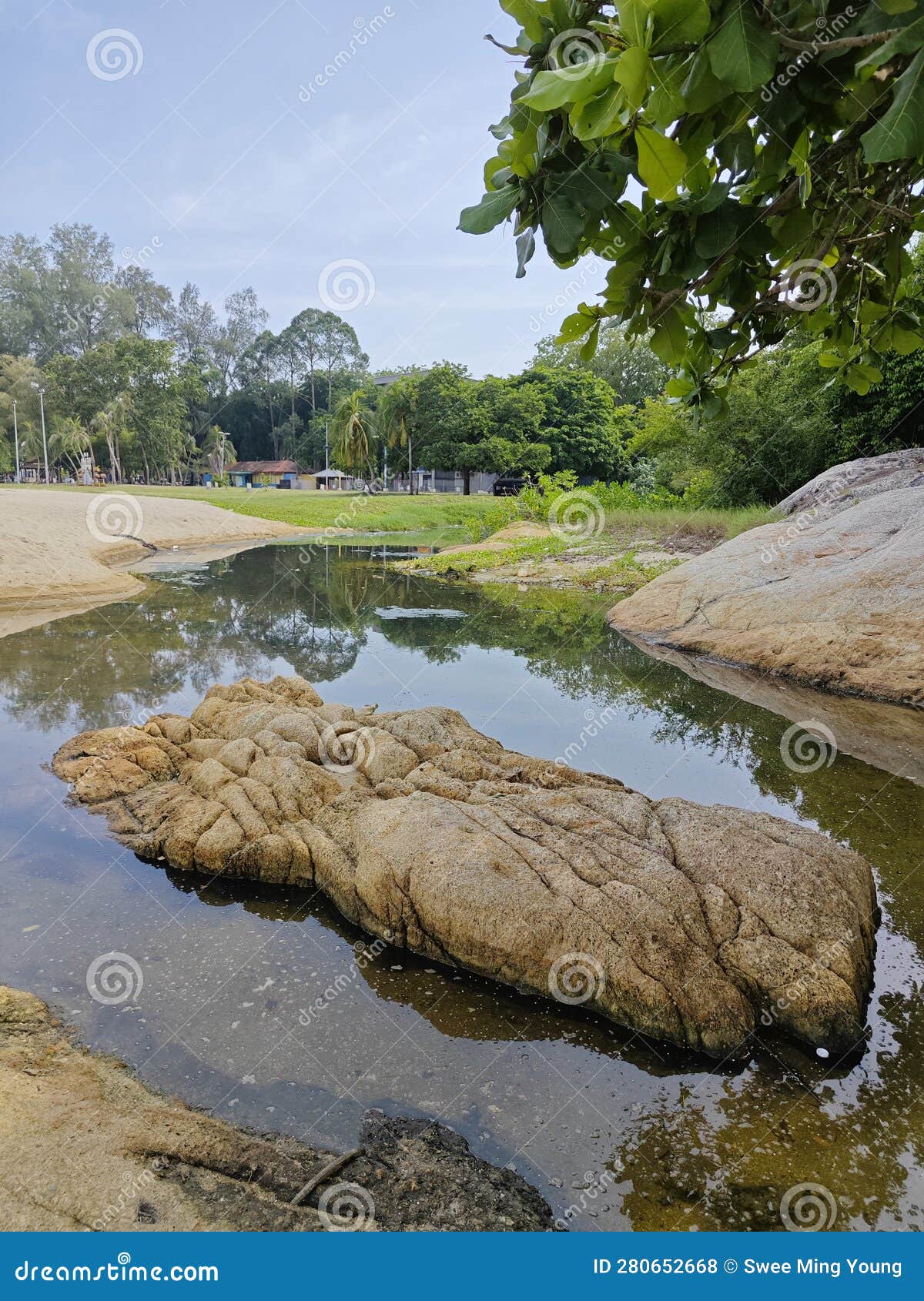 Scene of Boulder Laying Along the Sandy Beach Stock Photo - Image of ...