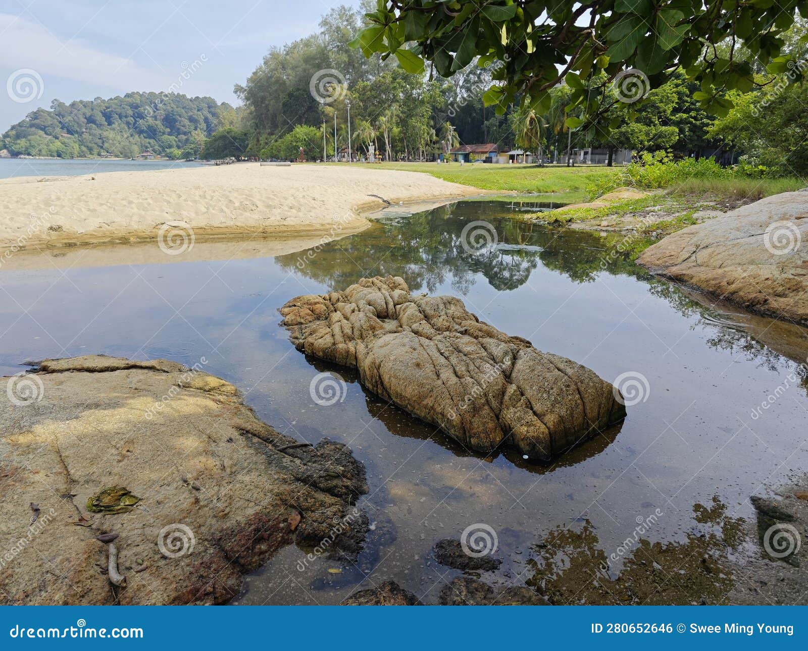 Scene of Boulder Laying Along the Sandy Beach Stock Photo - Image of ...