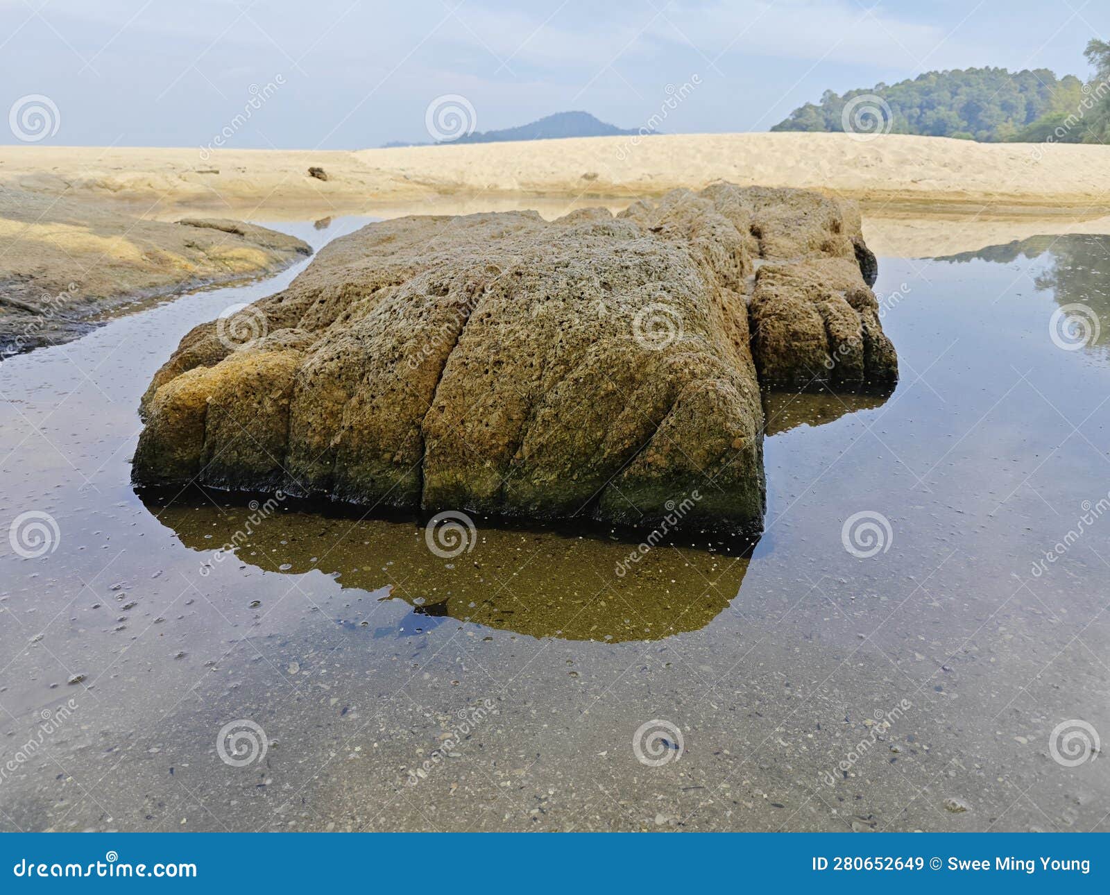 Scene of Boulder Laying Along the Sandy Beach Stock Image - Image of ...