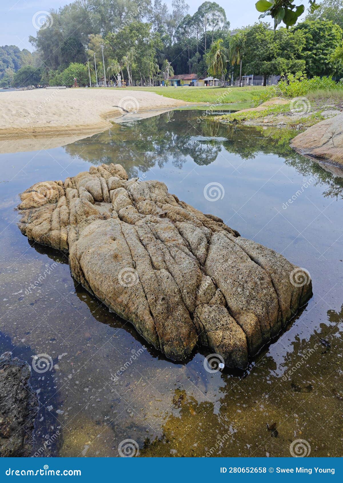 Scene of Boulder Laying Along the Sandy Beach Stock Photo - Image of ...