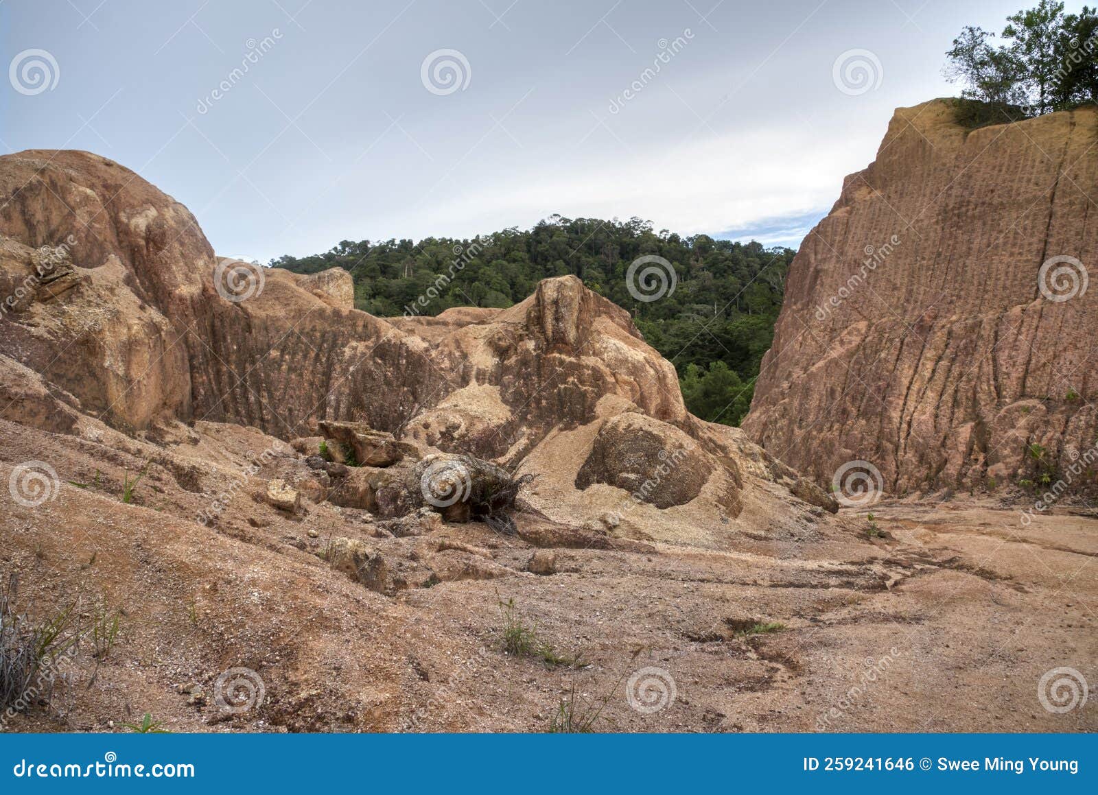 Scene of the Soil Erosion Landscape. Stock Photo - Image of soil ...