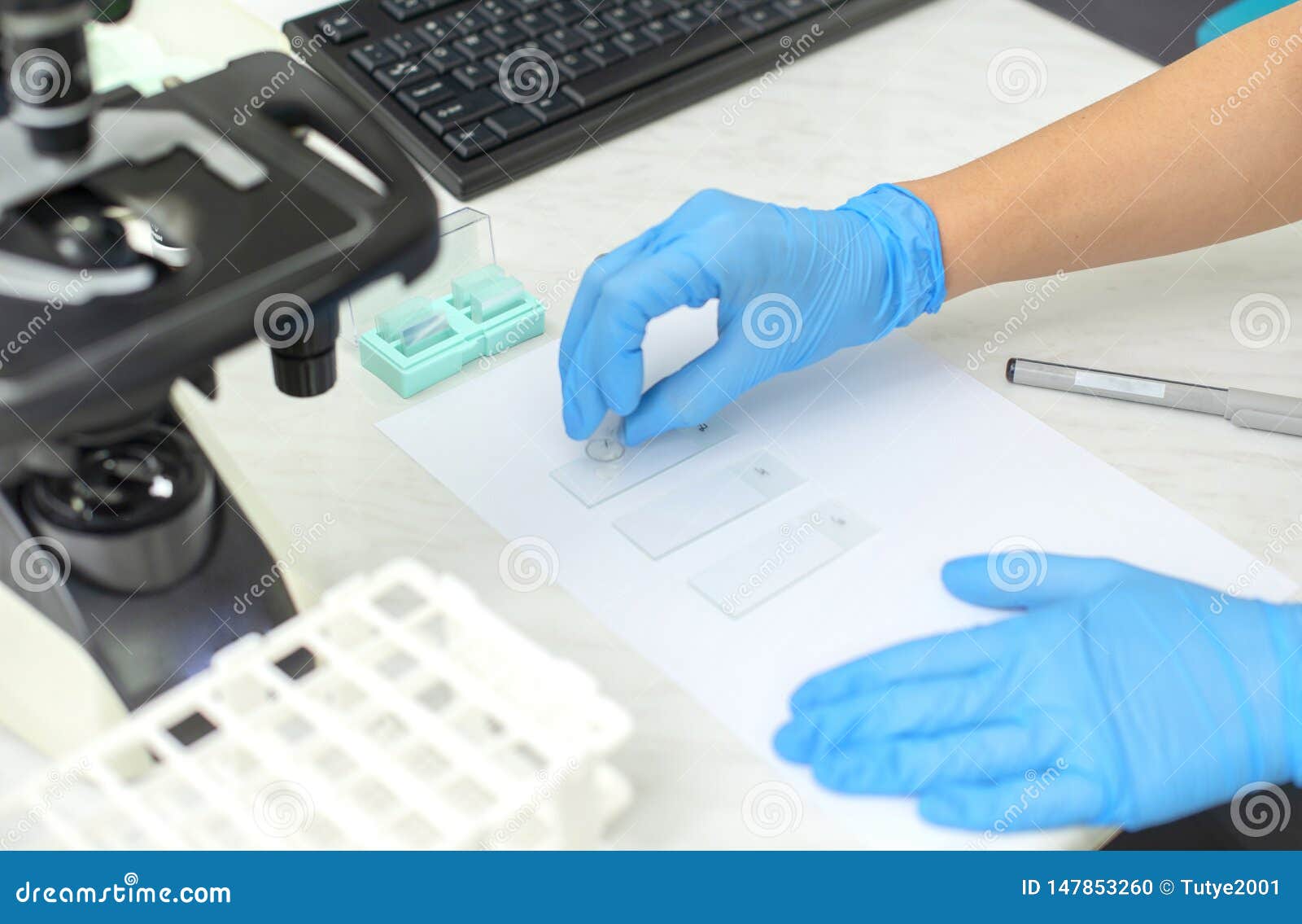 Image of Scientist Using Microscope in Laboratory Stock Photo - Image ...