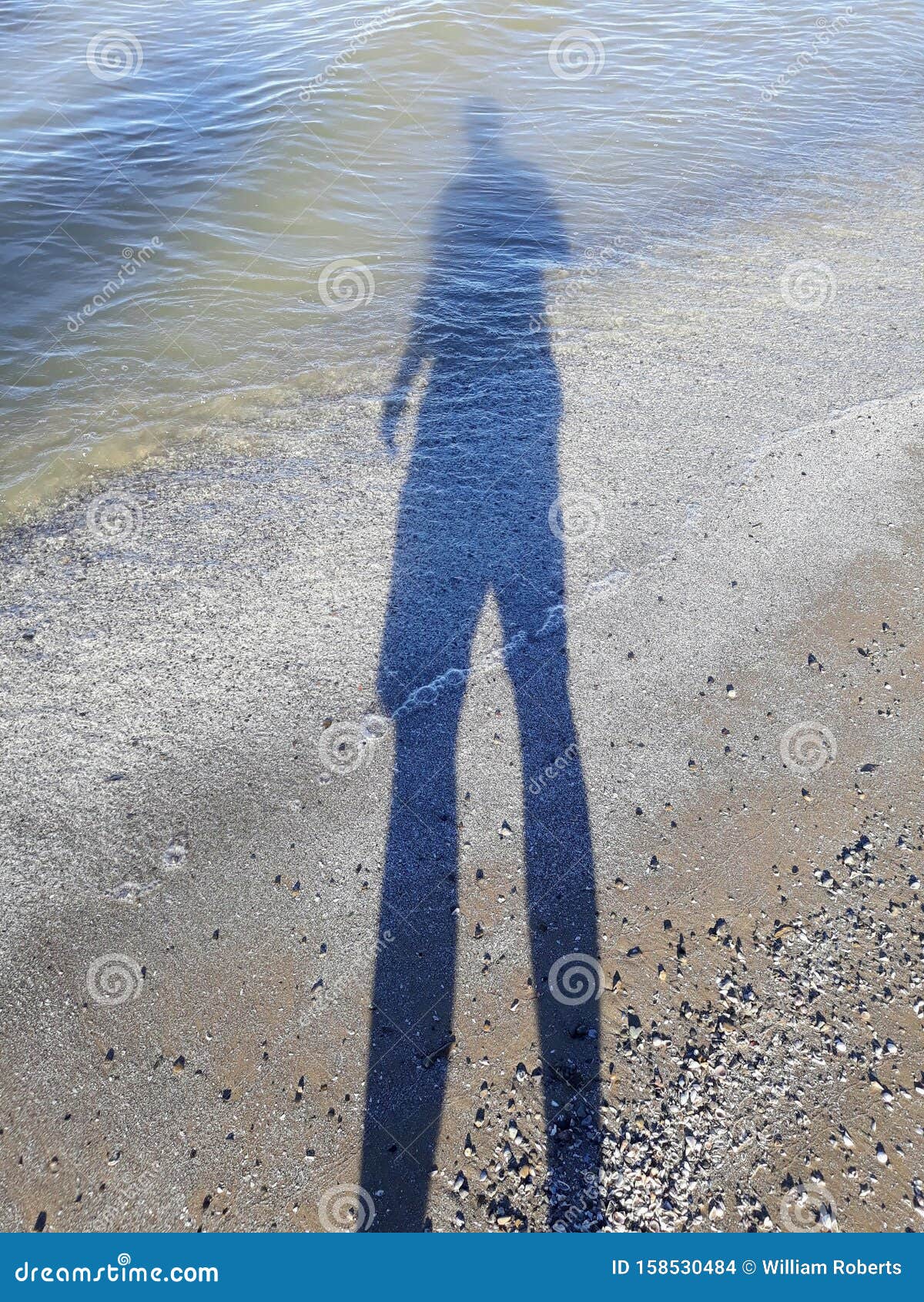 Selfie Shadow Of Single Female & Tree Shadows On Beach Stock ...