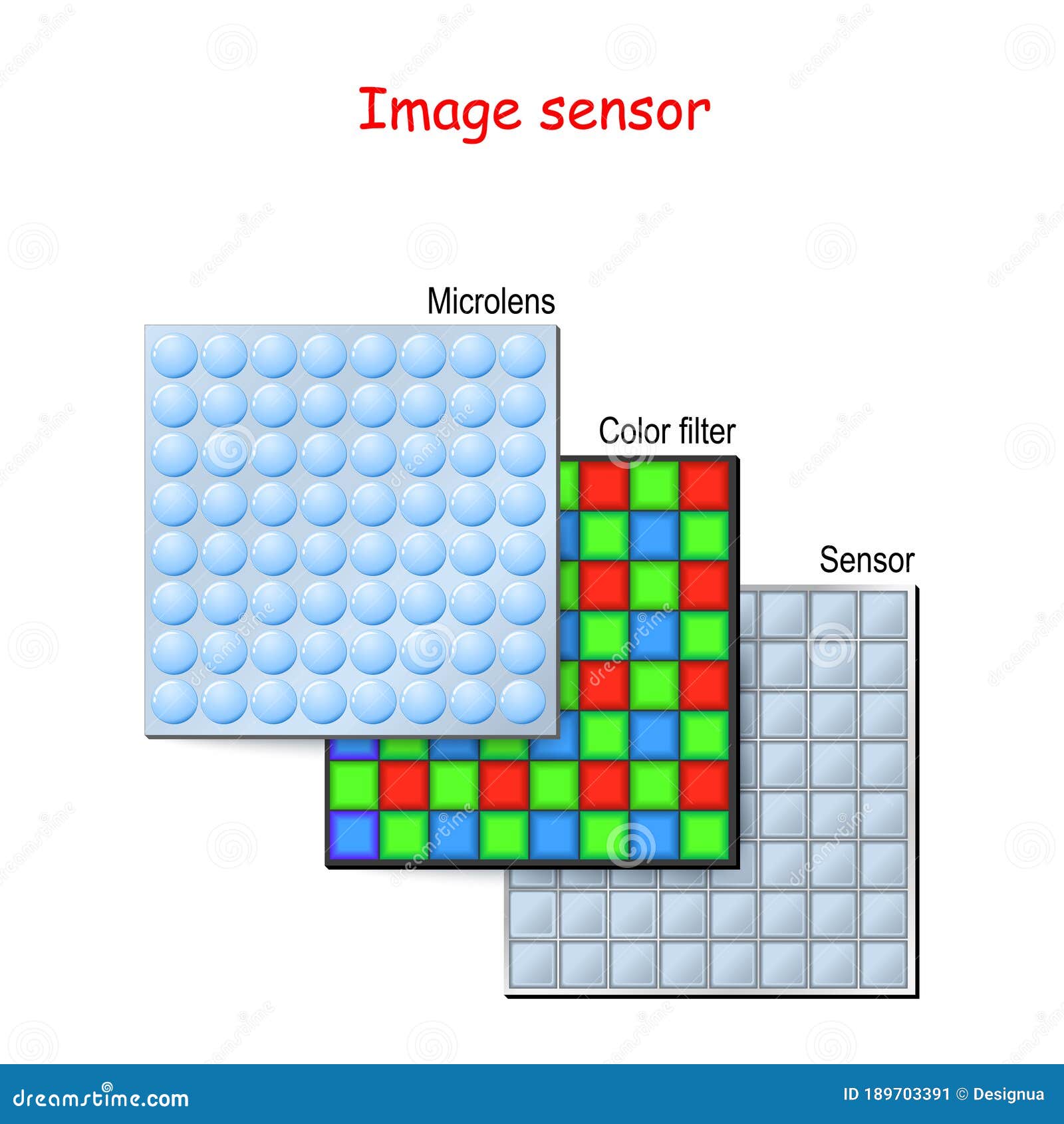 Bayer Filter. Close-up Of Digital Image Sensor. RGB Color Model Vector ... Bayer Filter. Close-up Of Digital Image Sensor. RGB Color Model Vector ...