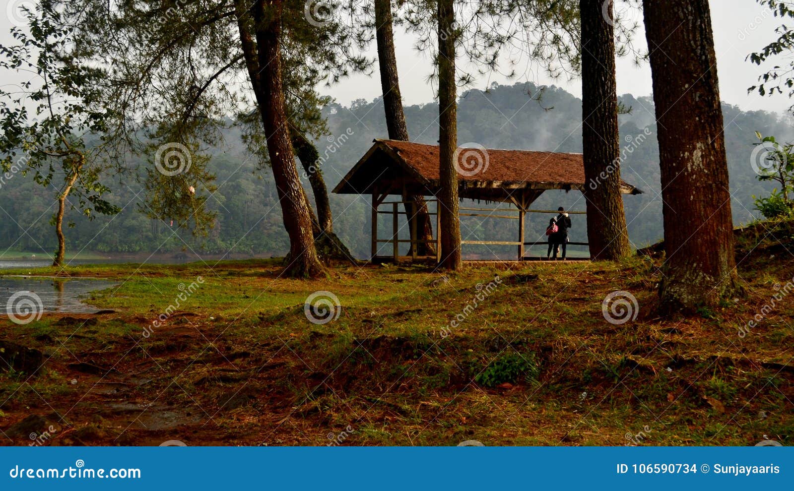 Beautiful Scenery of a Shack in the Forest and the Lake Stock Photo ...