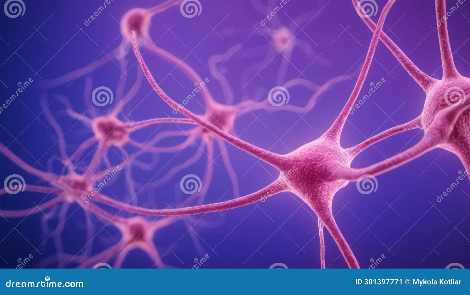 Detailed View of Neuron Cells Stock Illustration - Illustration of ...