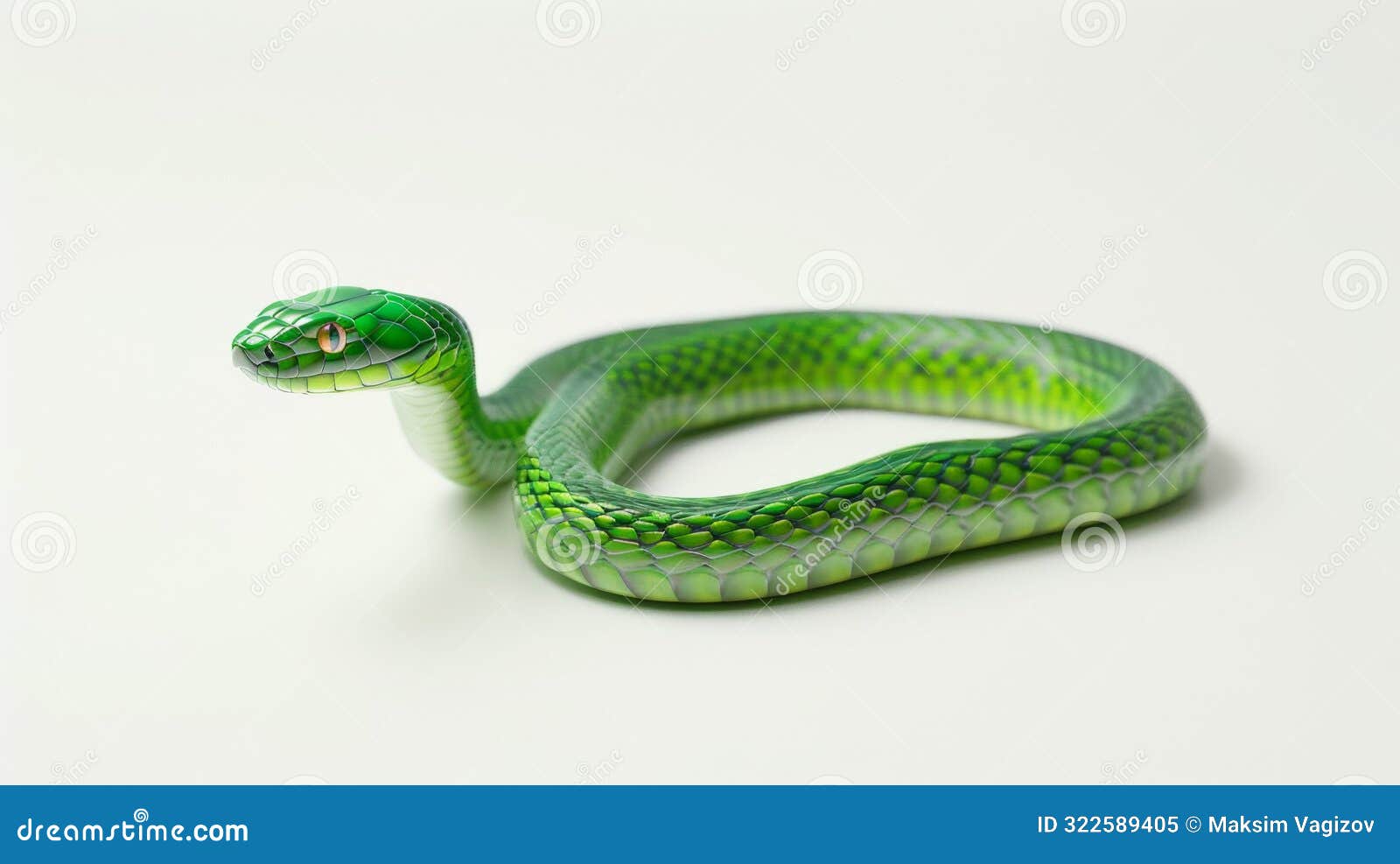Green Snake on White Background, Generative AI Stock Illustration ...