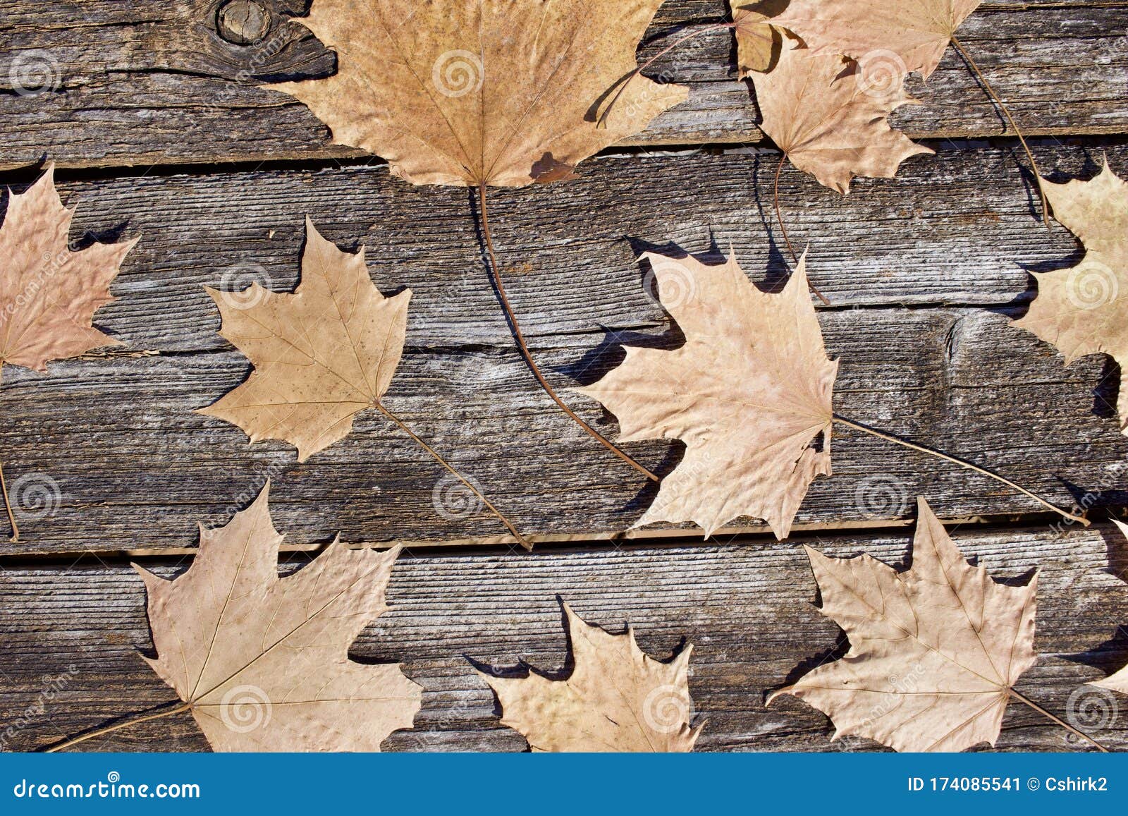 Abstract Art Texture Background of Dry Maple Leaves on a Rustic Old ...