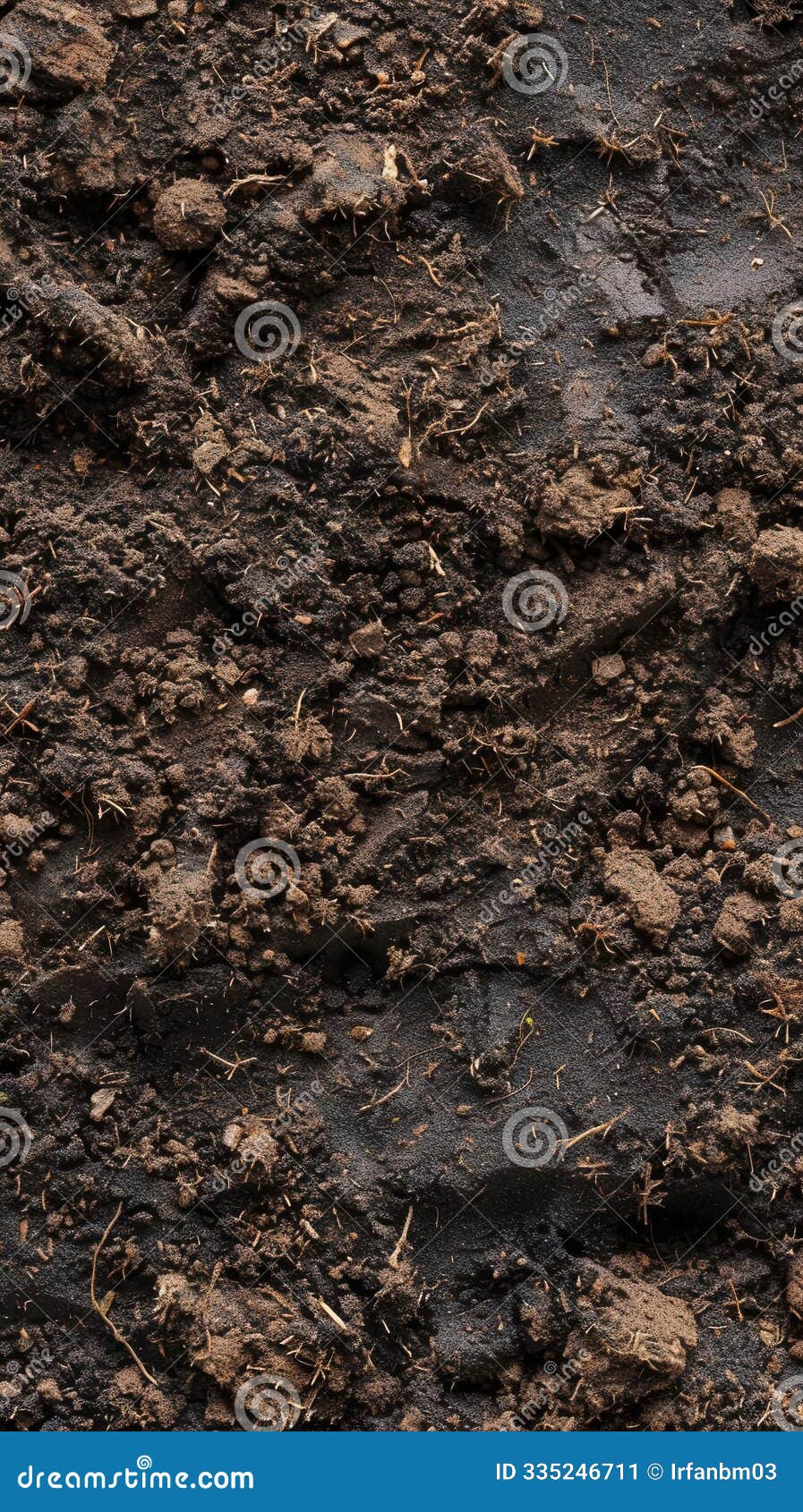 Healthy Soil. Loose, Aerated, and Well Draining Soil Texture Concept ...
