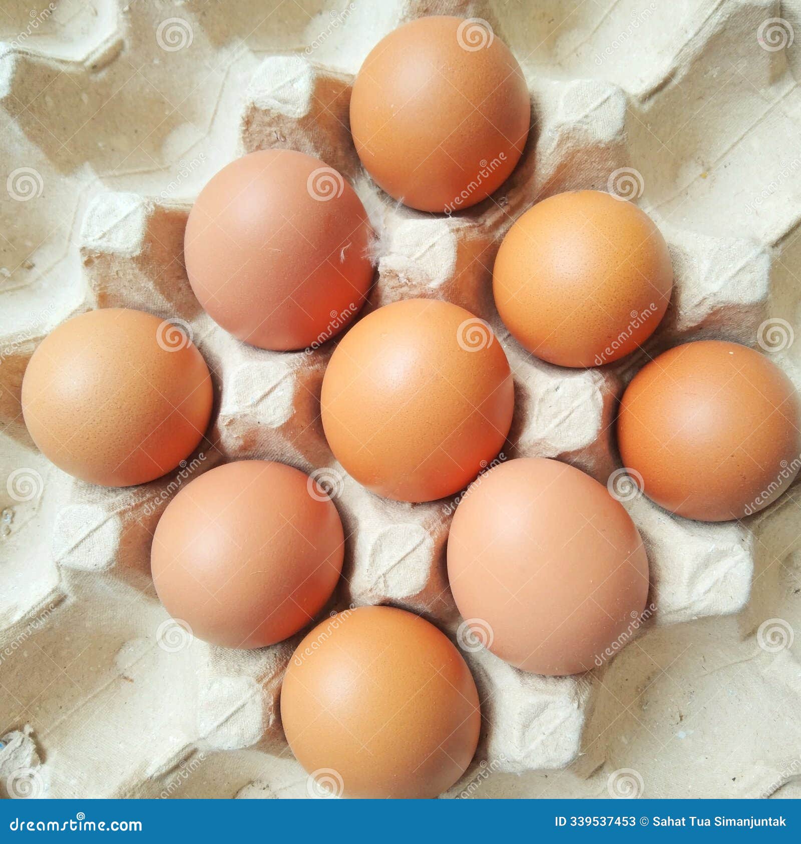 Nine Brown Eggs On A Green Background. The Concept Of Minimalism To ...