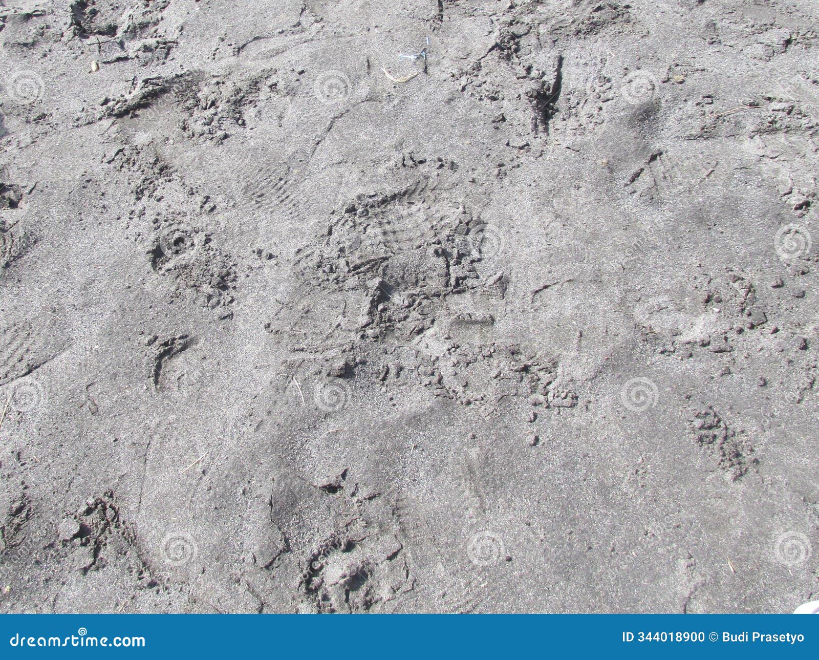 This Image Shows a Sand Surface with Footprints and Shoe Prints. Stock ...