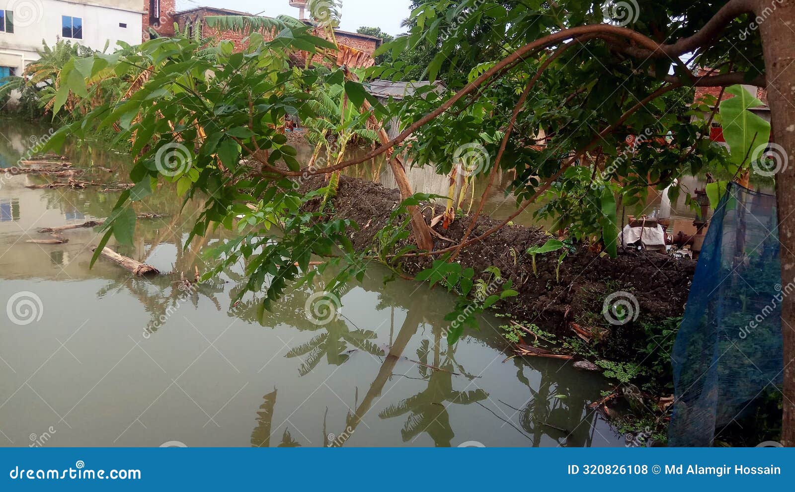 Unlocking the Serenity: How Nature S Beauty Heals the Soul. Stock Photo ...