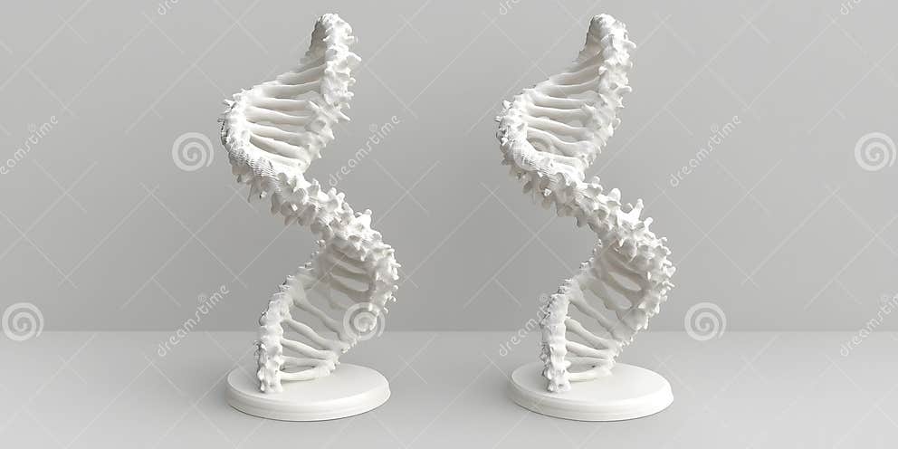 Identical DNA Models Displayed Side by Side Stock Illustration ...