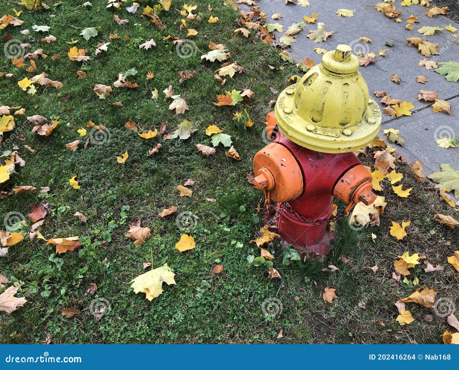 Brightly Painted Massachusetts Fire Hydrant with Grass, Sidewalk, and ...