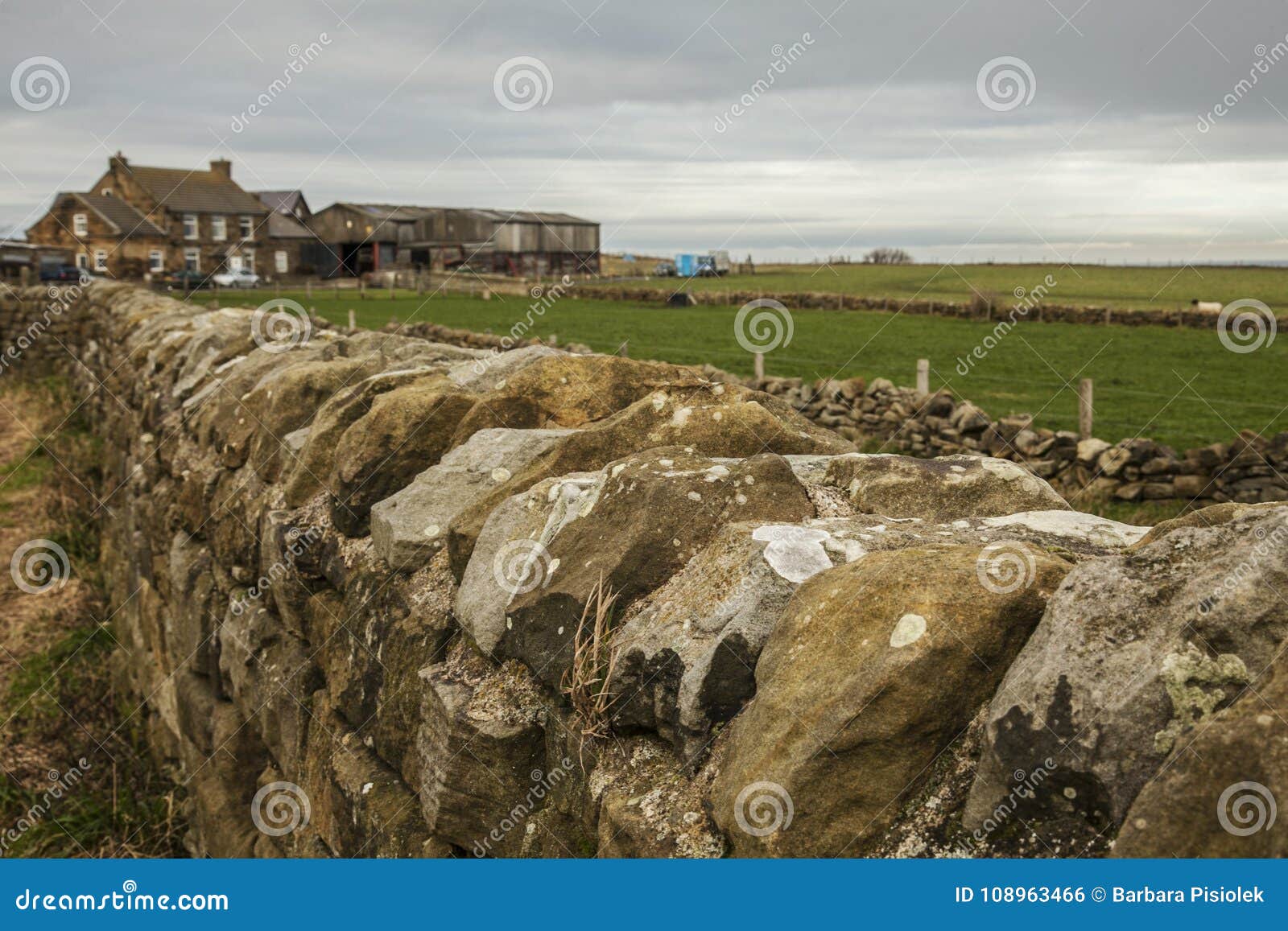 Whitby - a Farm Outside of the Town. Stock Photo - Image of farm ...