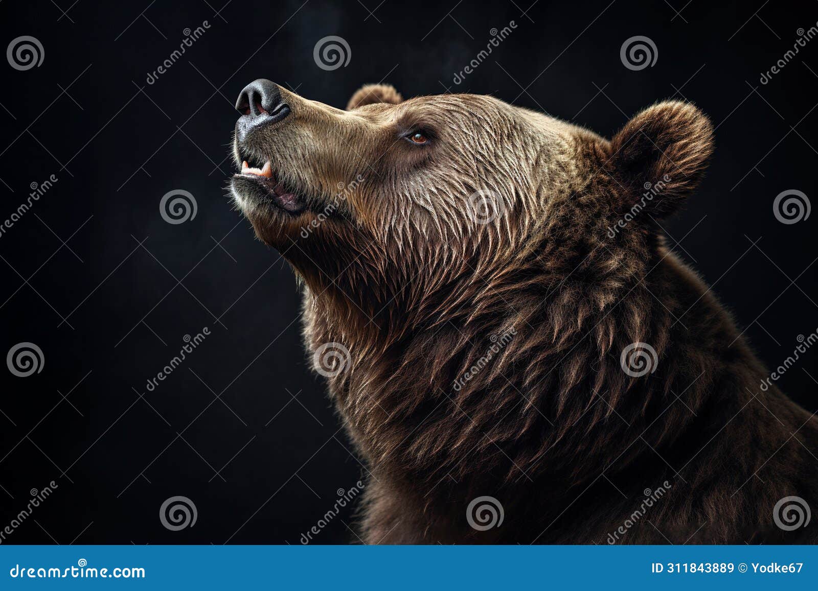 Image Of Ferocious Eerie Angry Phoenix Is Flying Burning, Bird ...