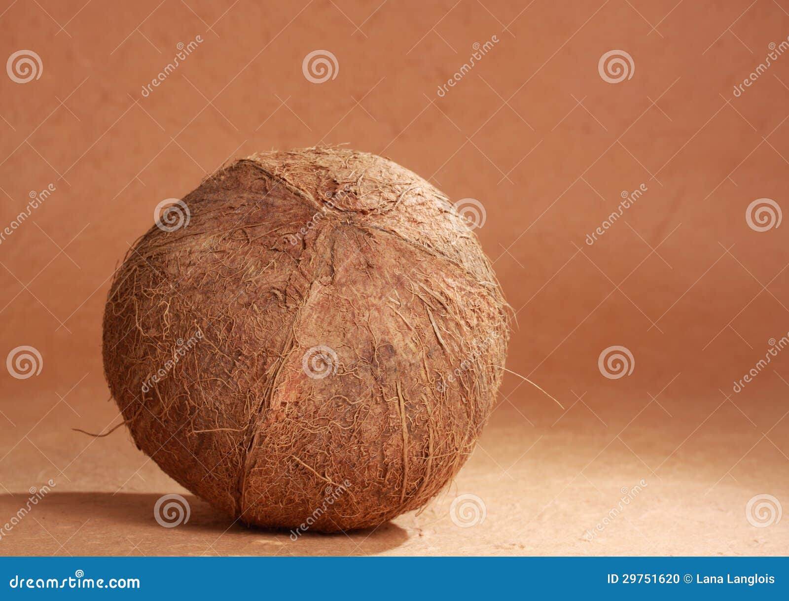 Whole raw coconut stock photo. Image of diet, natural - 29751620