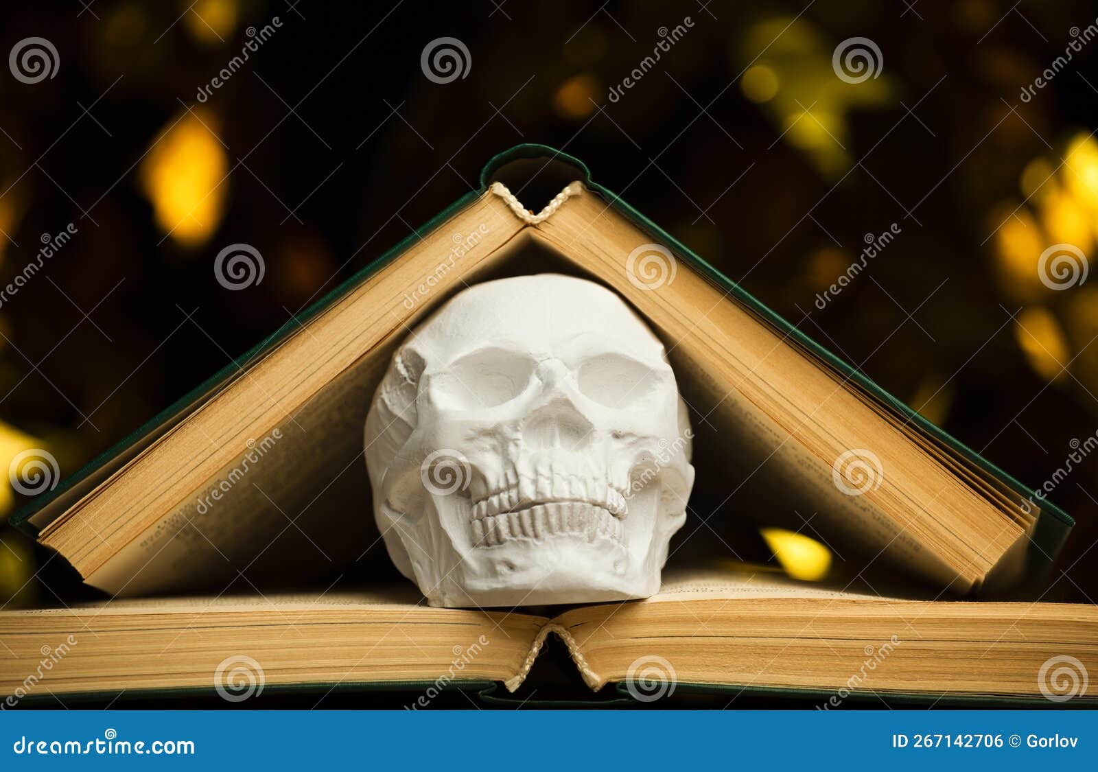 Image of Skull Book Dark Background Stock Photo - Image of human ...