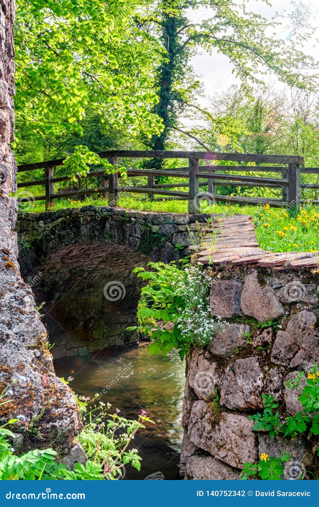 Image of a Small Bridge in Nature Stock Photo - Image of beautiful ...