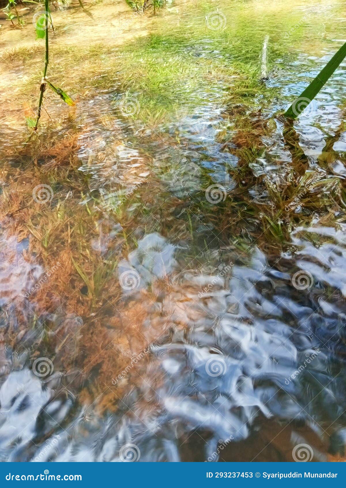 A Small River Whose Water is Very Clear is Receding Due To the Dry ...