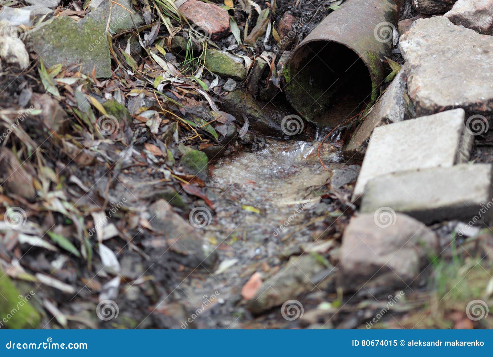 An Image of a Small Stream Running through a Meadow. Stock Image ...