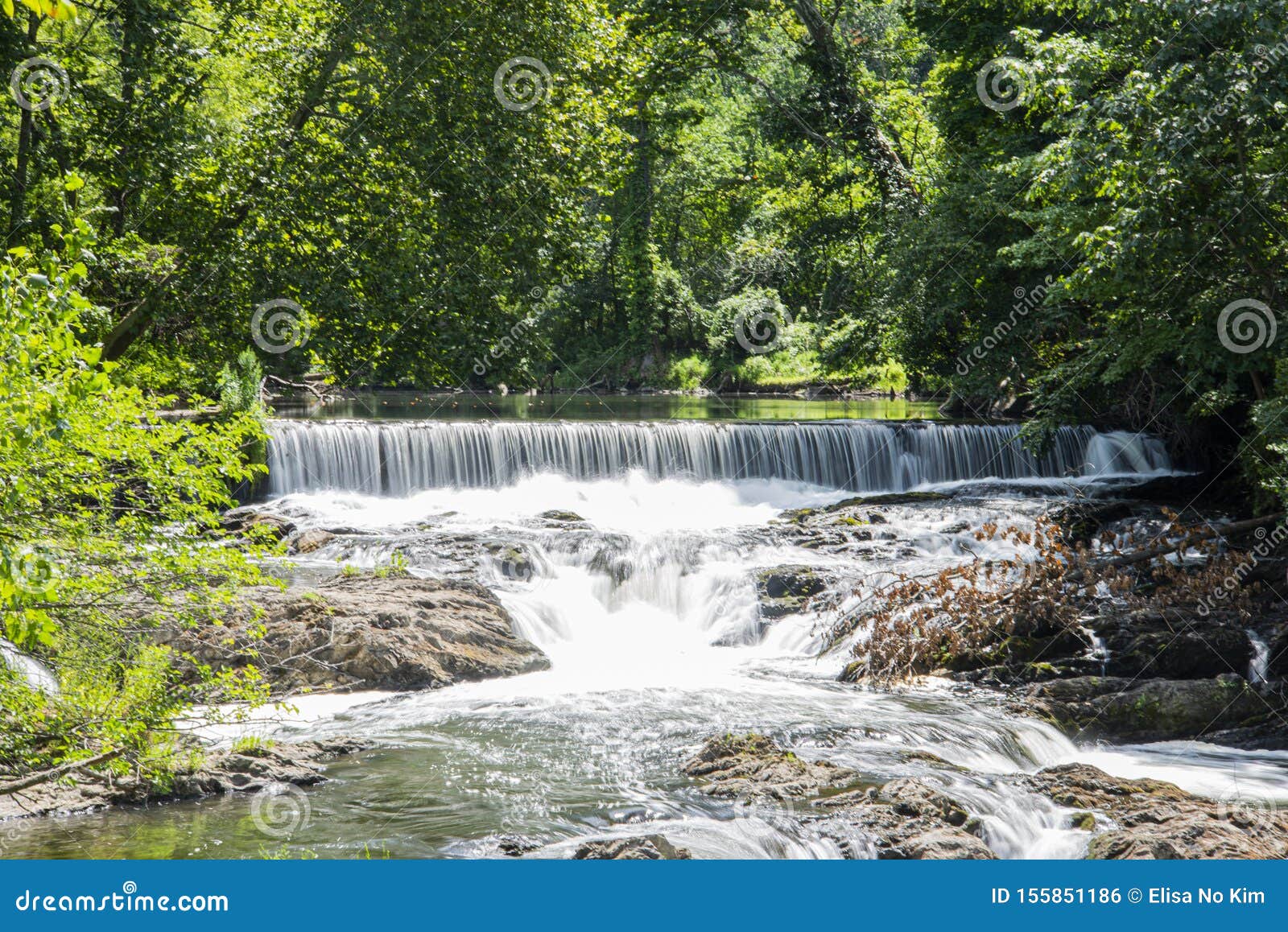A Small Waterfall in the Forest Stock Photo - Image of speed, rural ...