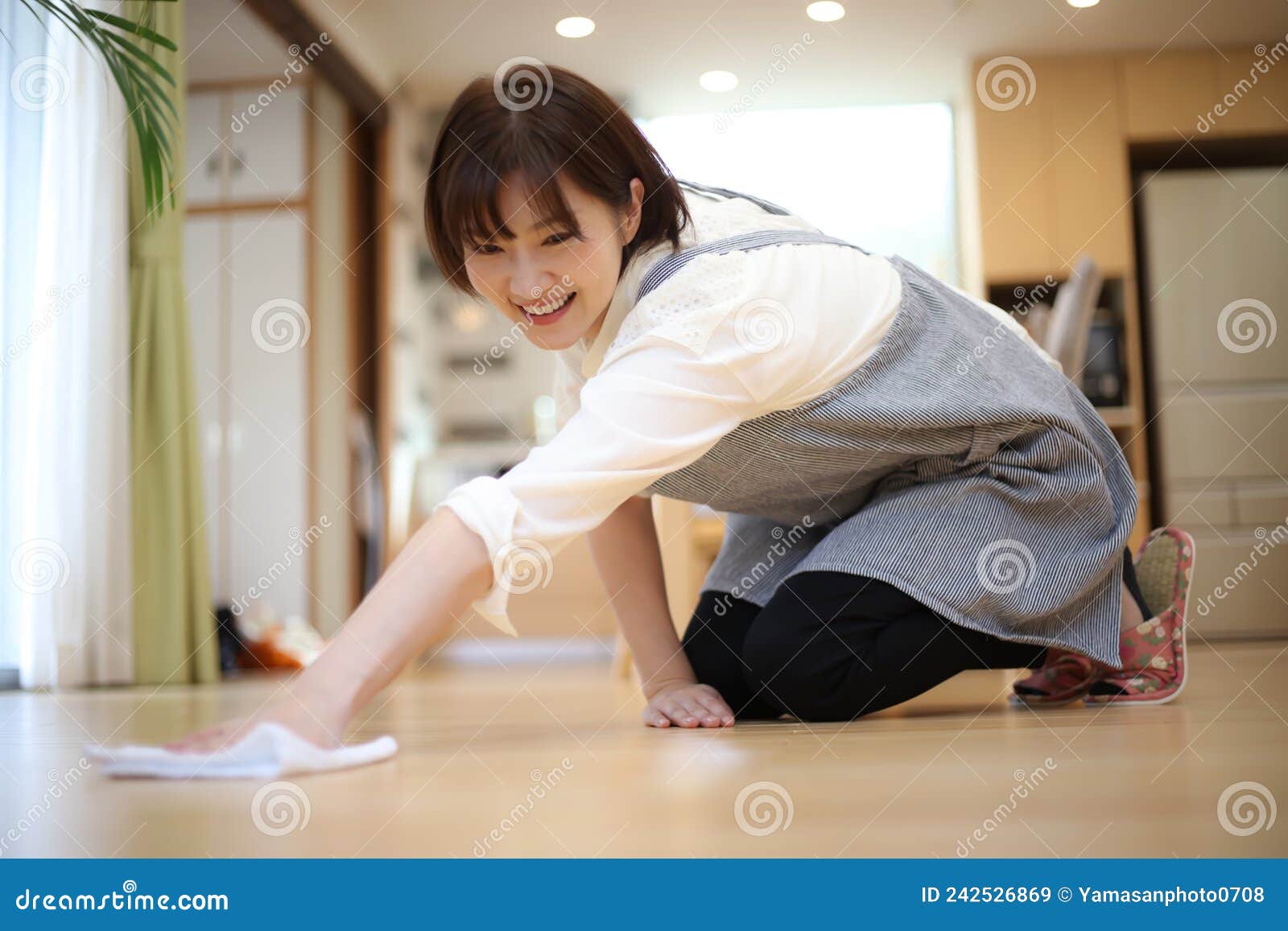 Smile woman cleaning stock image. Image of cleanliness - 242526869