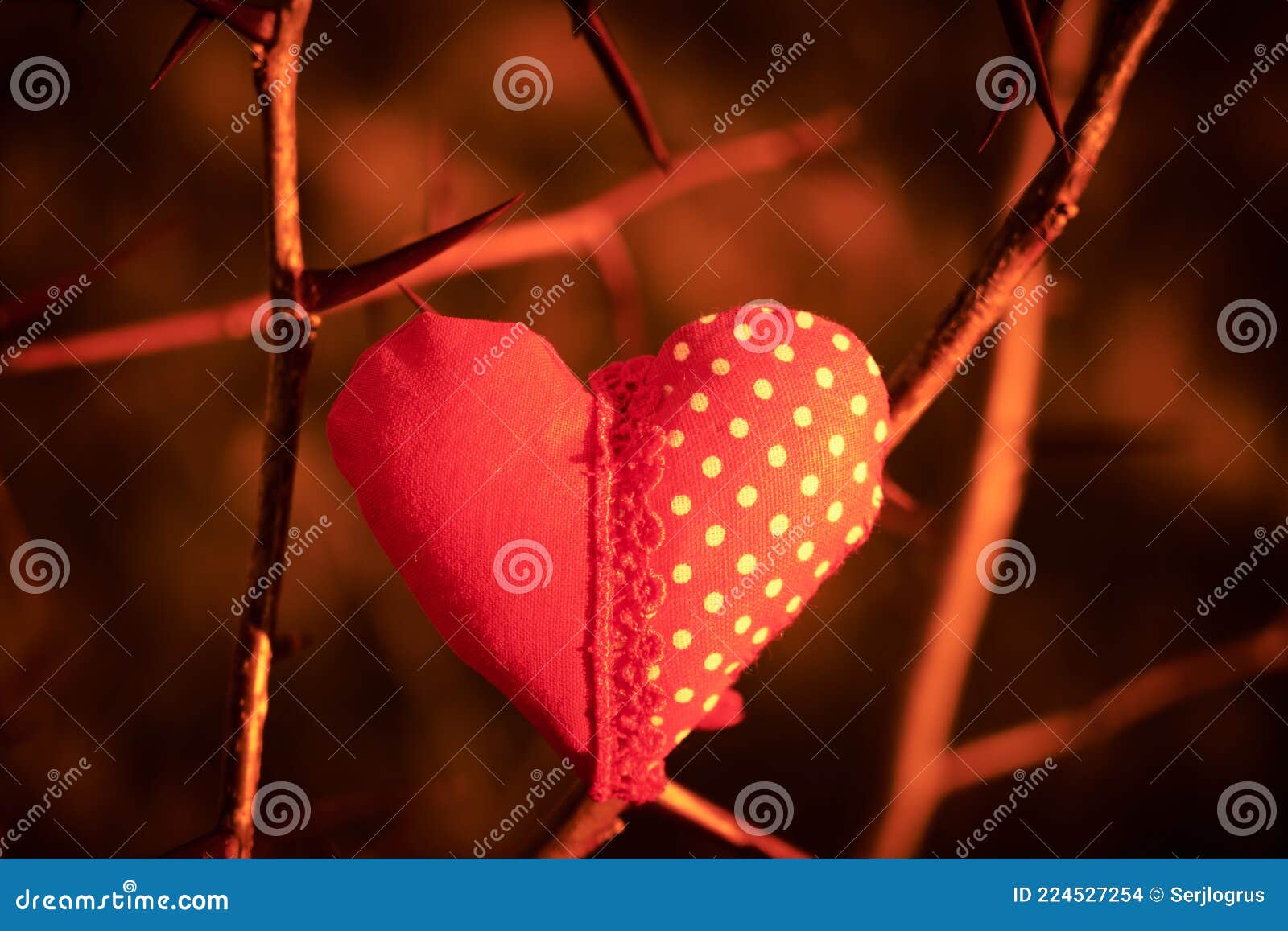 Soft Toy in the Shape of a Heart Stock Photo - Image of mind, bauble ...