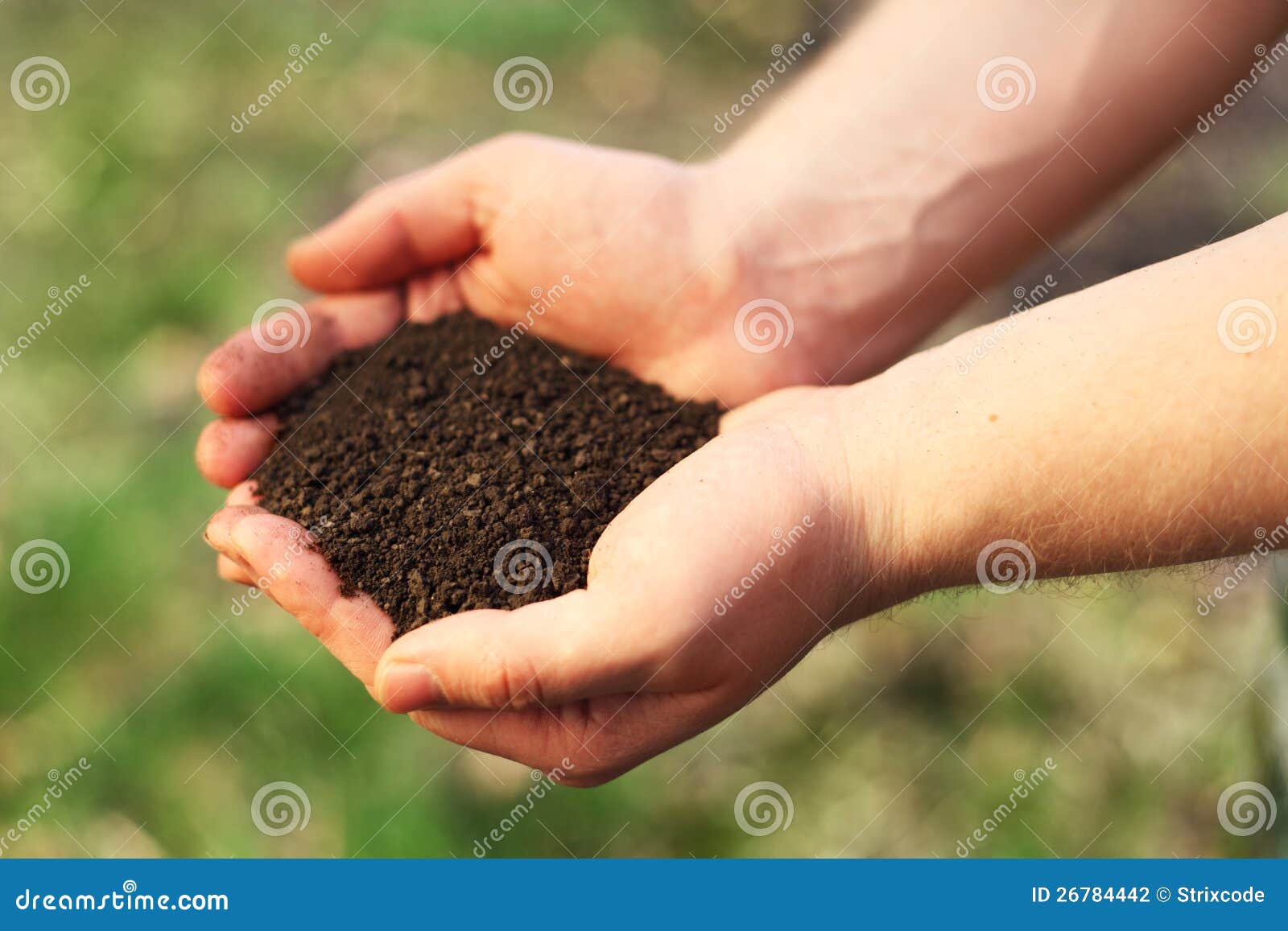 Image of soil in hands stock photo. Image of life, holding - 26784442