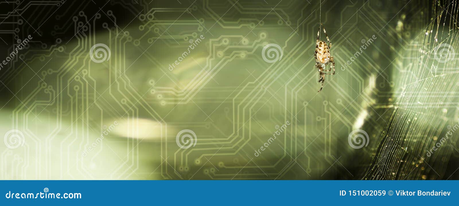 Spiderweb Tech Stock Photos - Free & Royalty-Free Stock Photos from ...