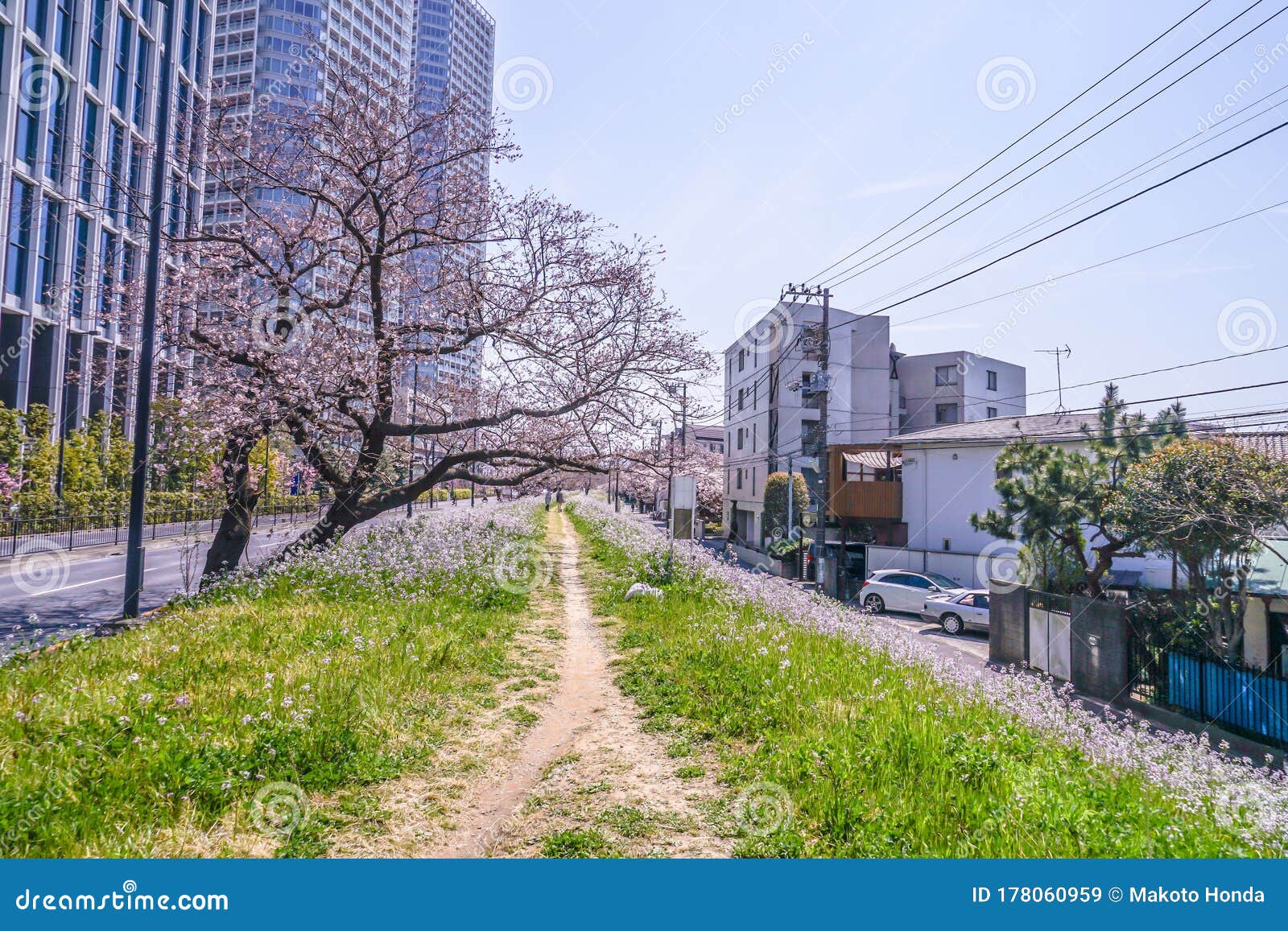 Image of Spring Trail stock image. Image of river, purse - 178060959