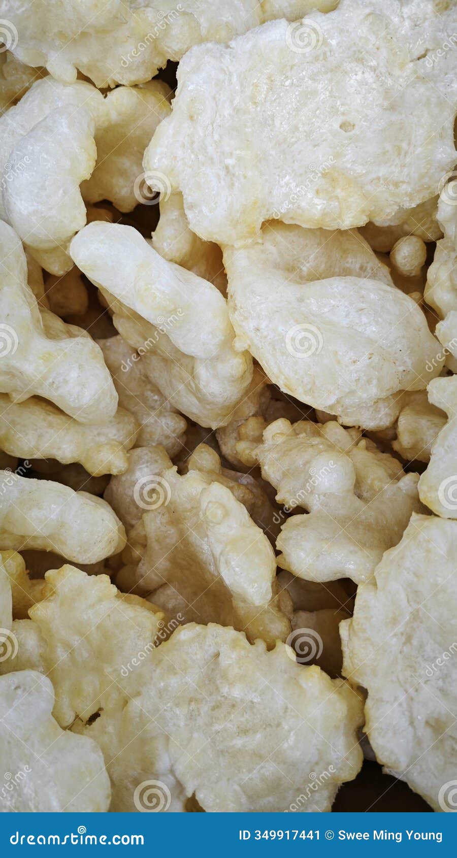 Stack of the Chinese Delicacy Dried Fish Bladder. Stock Image - Image ...