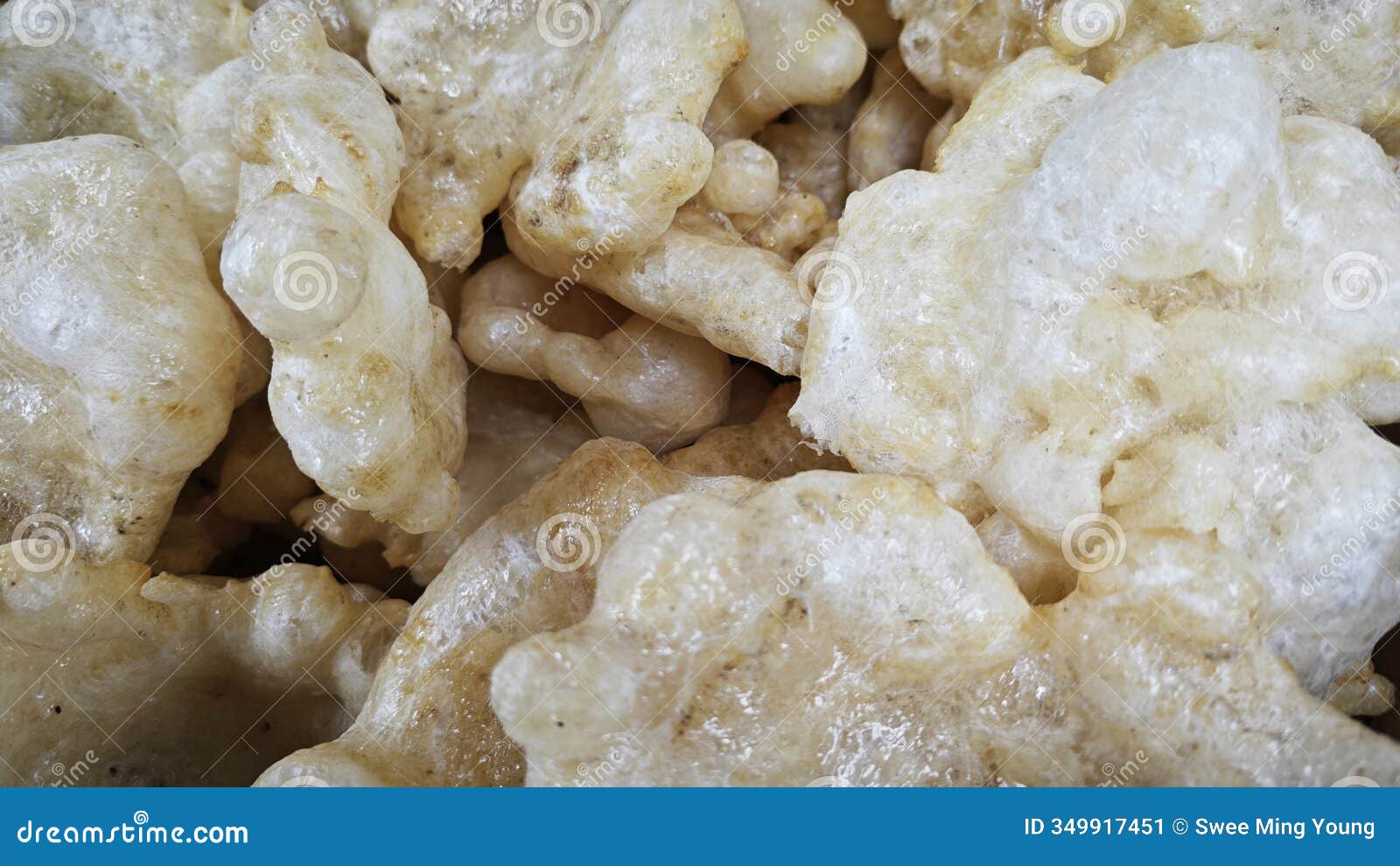 Stack of the Chinese Delicacy Dried Fish Bladder. Stock Image - Image ...