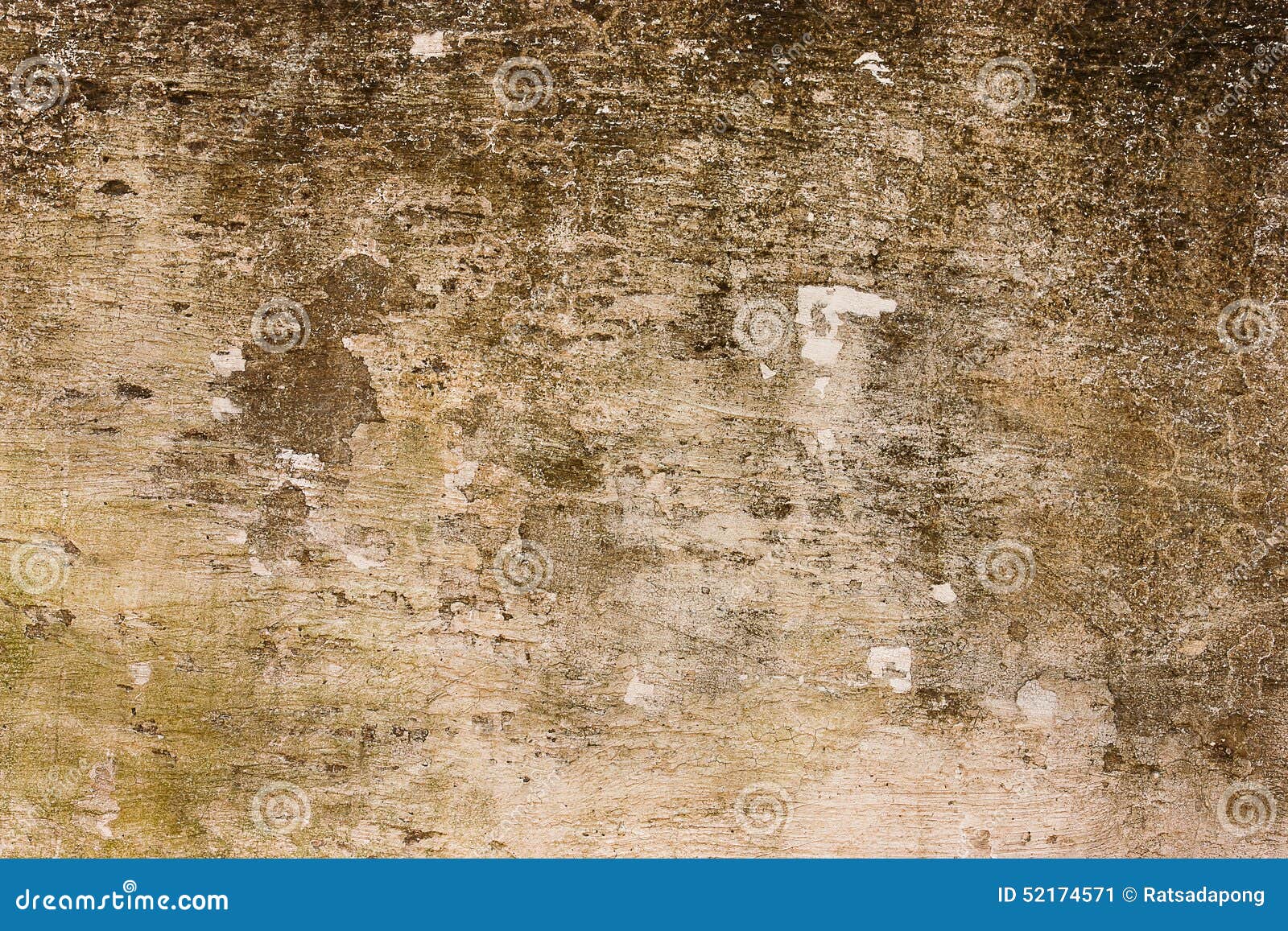 Image of the Stain on the Wall Stock Image - Image of detail, moisture ...