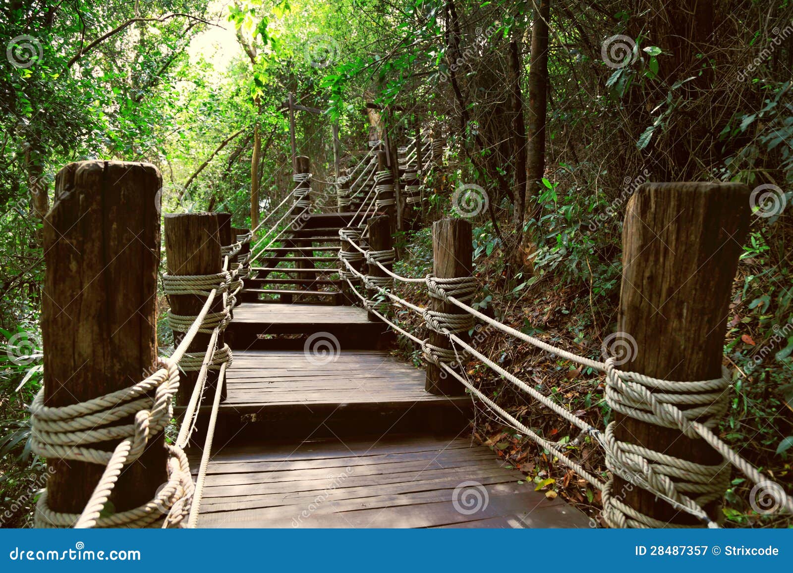 Image of Stairway in Jungle Stock Image - Image of outdoor, beautiful ...