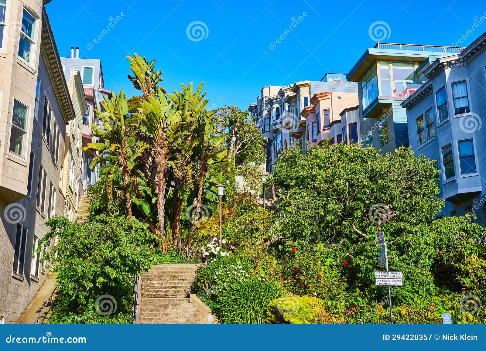 Steps Going Up Hillside Overgrown with Plants and Blocked in by Complex ...