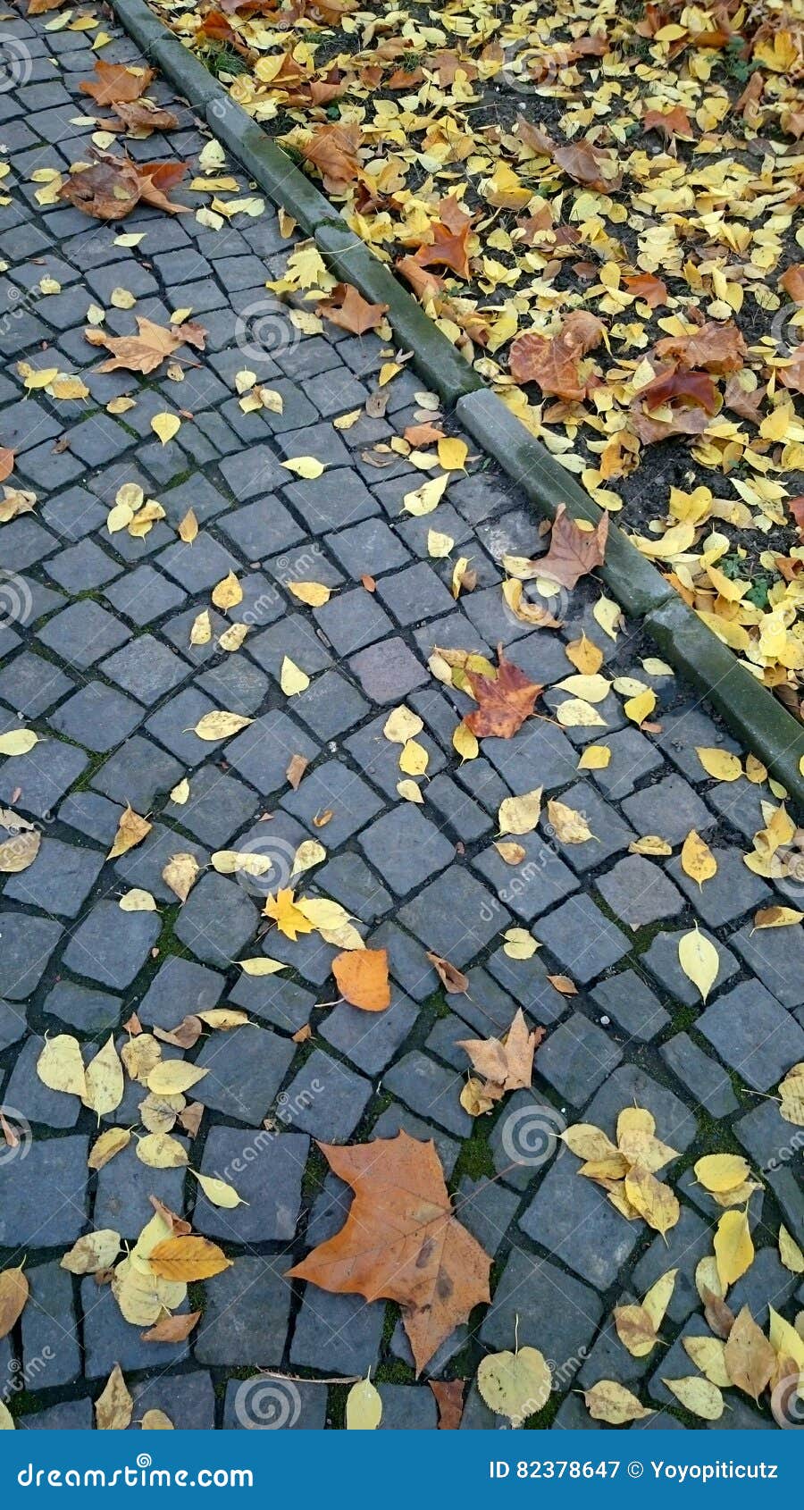 Stone alley stock image. Image of garden, walk, concrete - 82378647