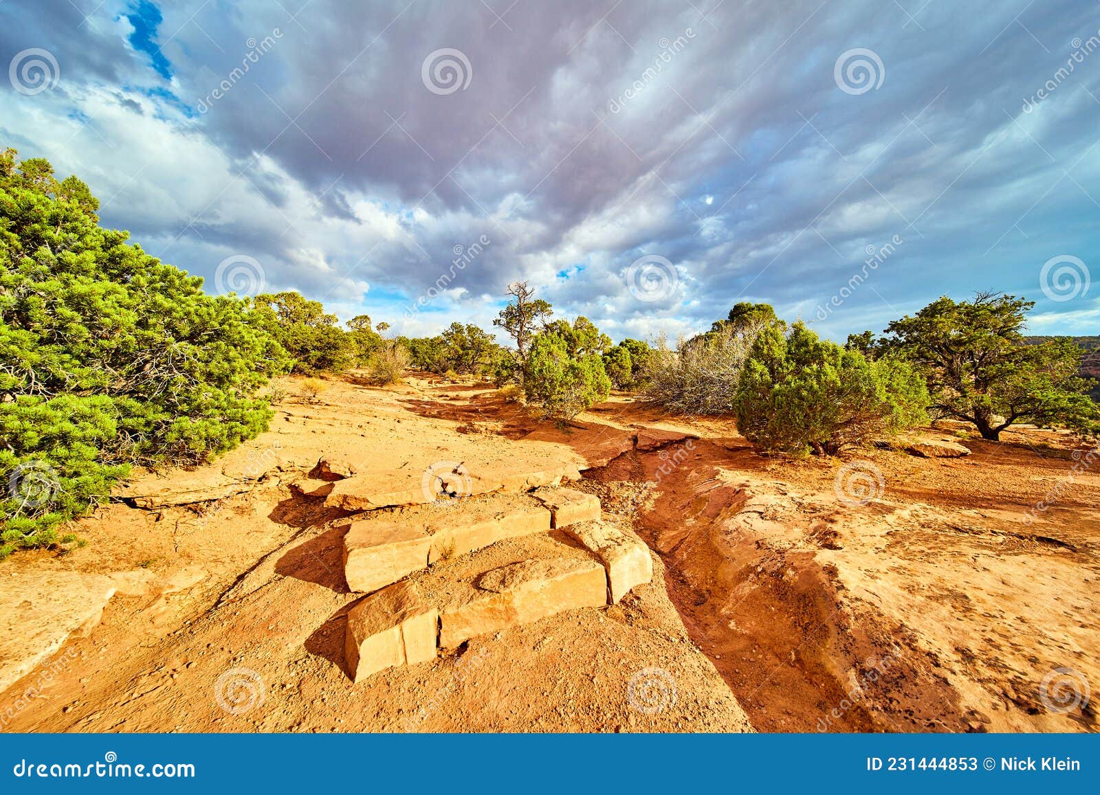 Stone Steps in Desert Path Surrounded by Green Shrubs Stock Image ...