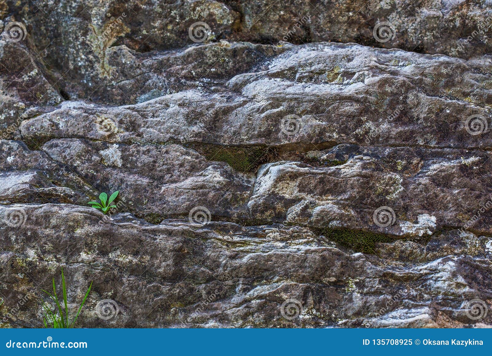 Image of Stone Texture. an Interesting Background with a Fascinating ...