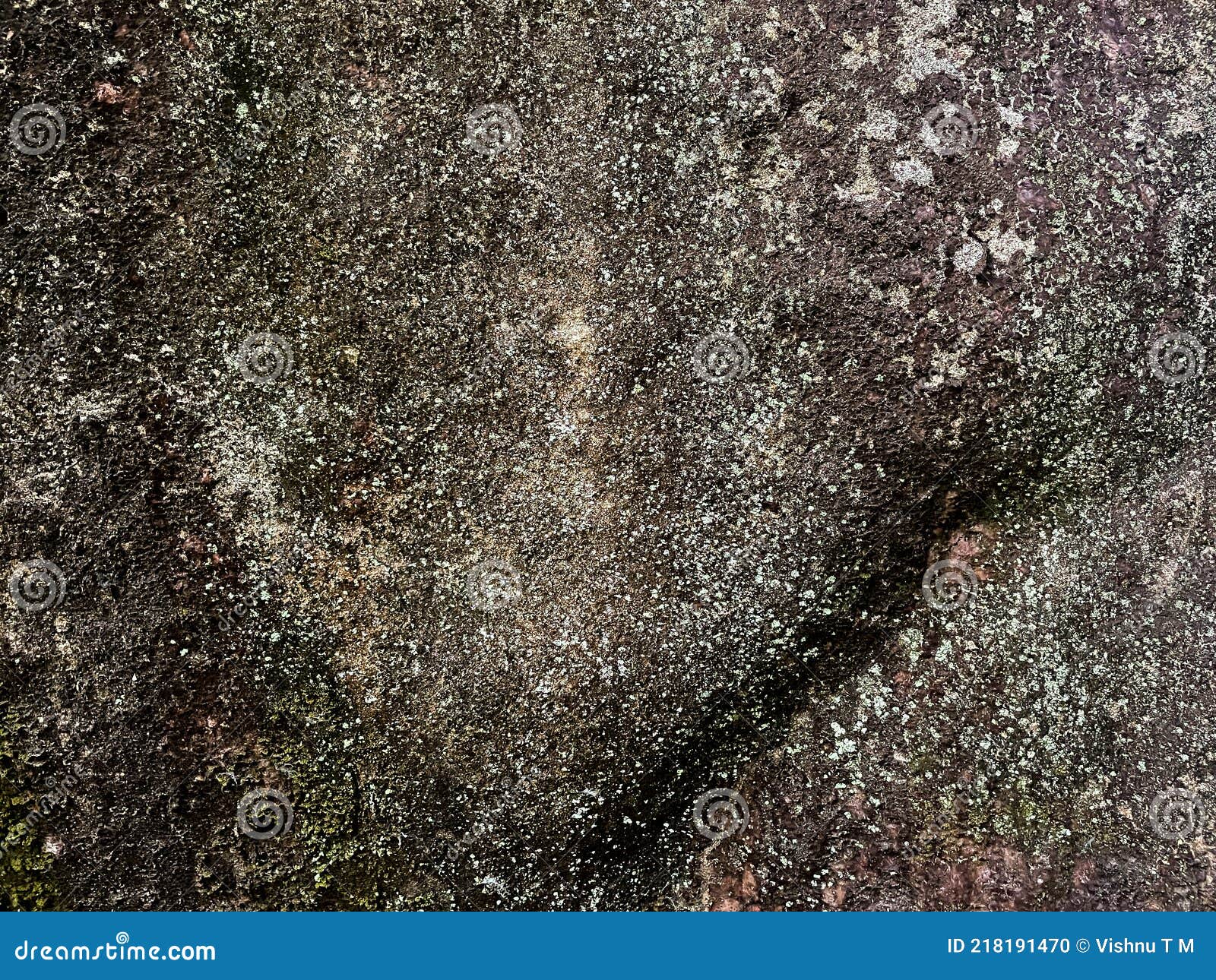 Image of Stone Texture with Moss.Mossy Rock Texture Stock Photo - Image ...