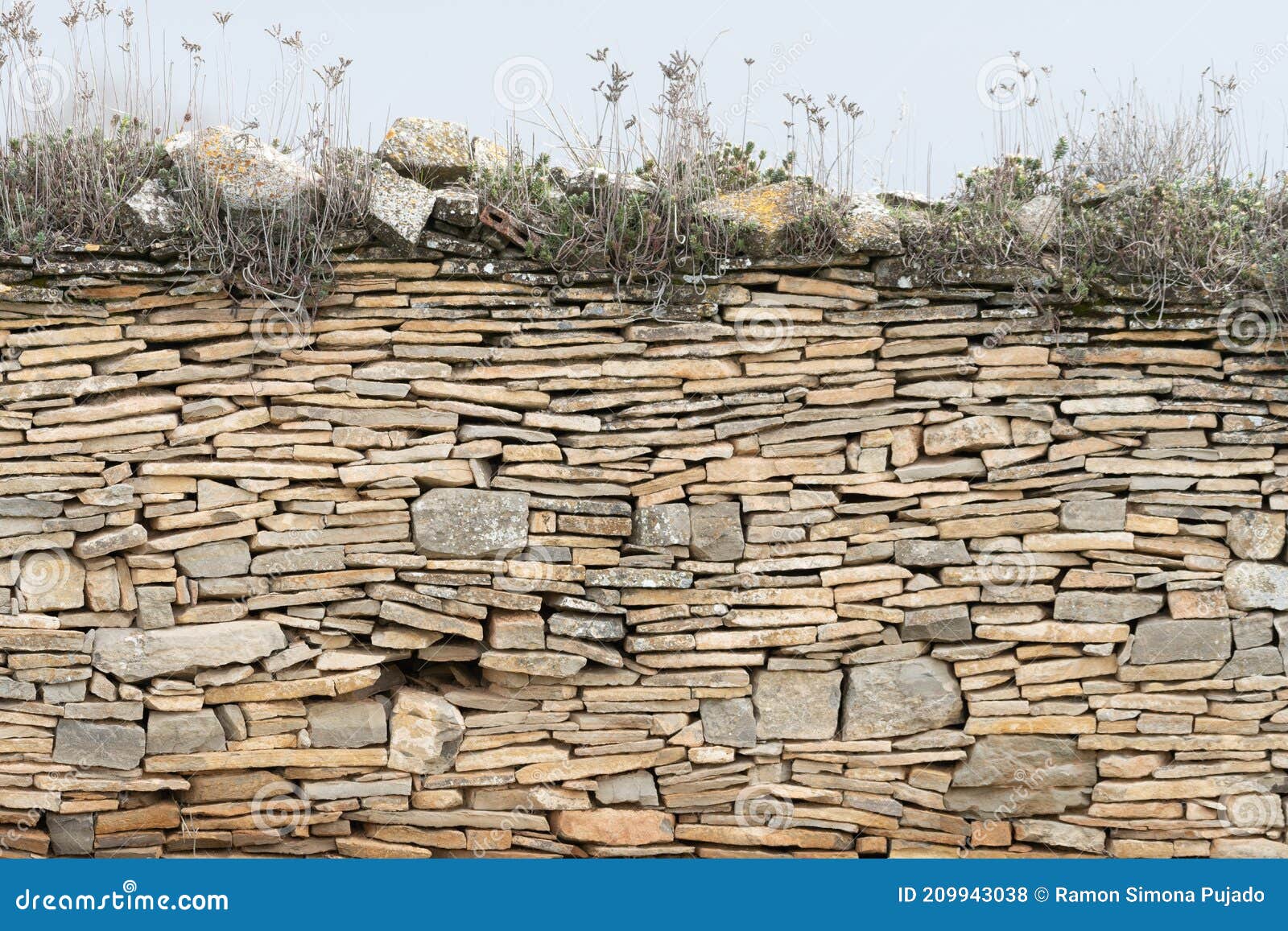 Image of Stone Wall in Rural Environment Stock Photo - Image of plan ...
