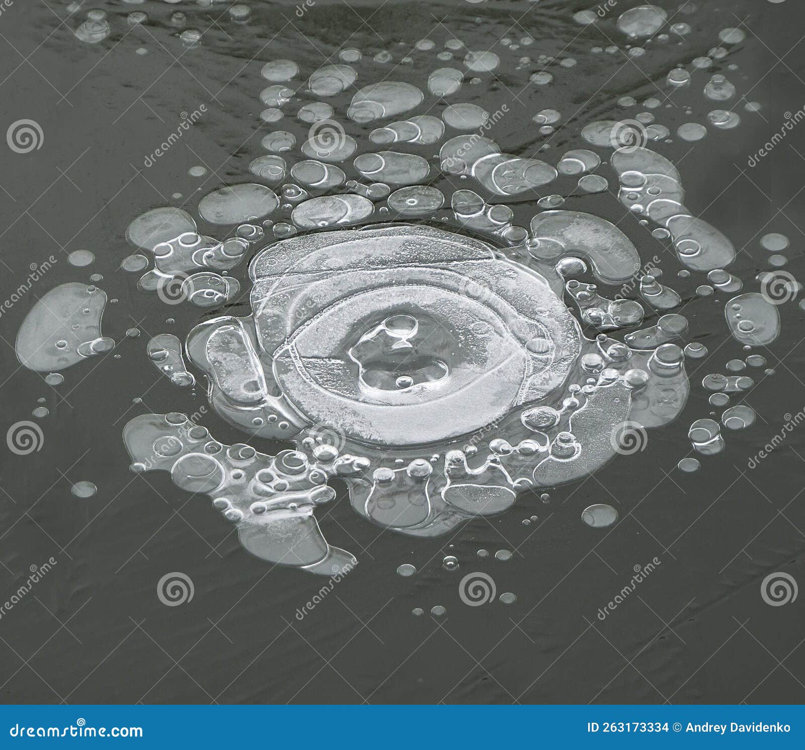 Image in the Style of Salvador Dali Stock Photo - Image of autumn ...