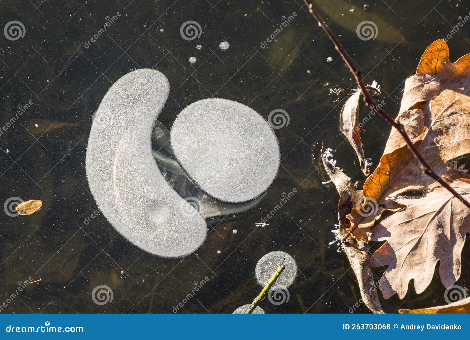 Image in the Style of Salvador Dali Stock Photo - Image of abstraction ...