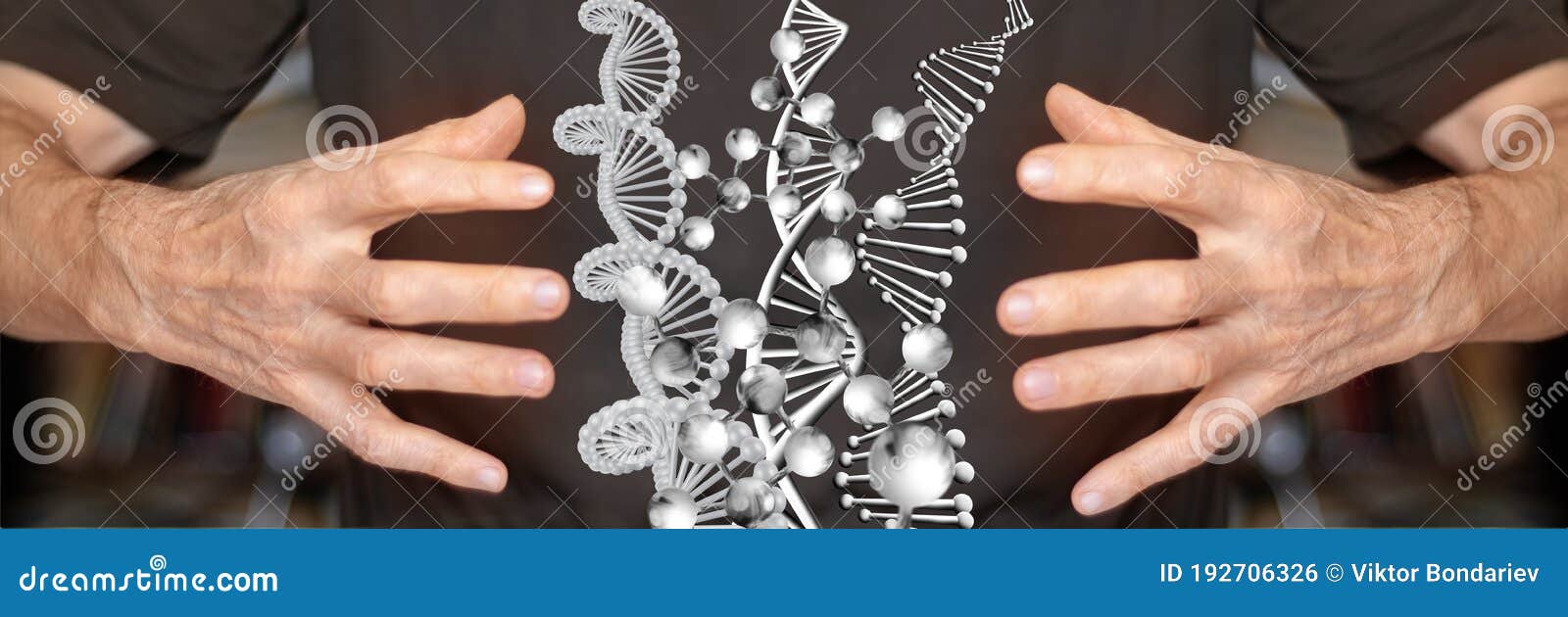 Image of Stylized DNA Chains Located between Human Hands Stock Photo ...