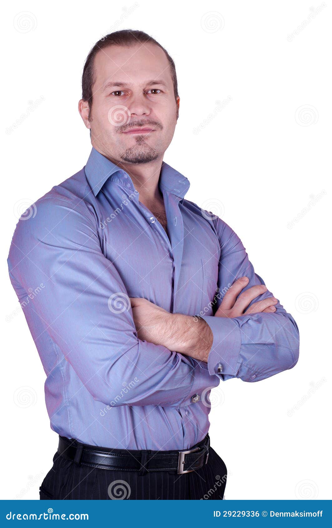 Image of successful man stock photo. Image of purposefulness - 29229336