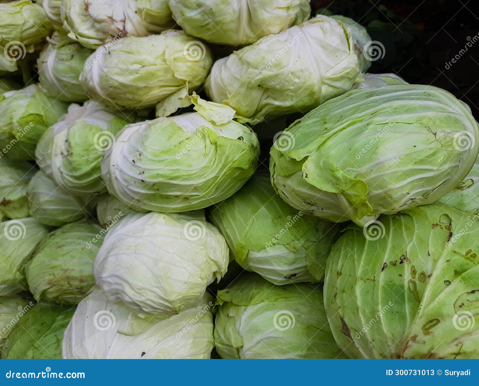 Portrait of Piles of Cabbage in a Vegetable Shop Stock Image - Image of ...